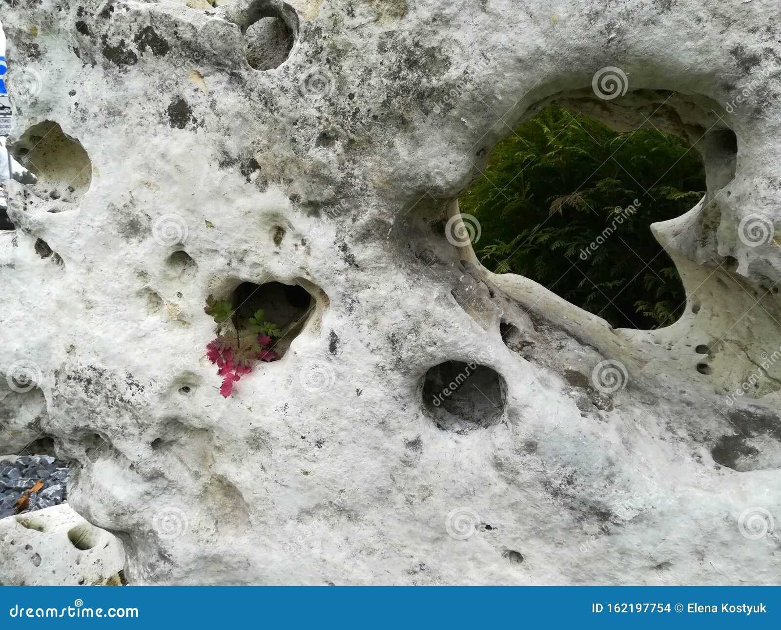 Granular Limestone Rock Surface. Limestone Crag Texture. Stock Photo ...
