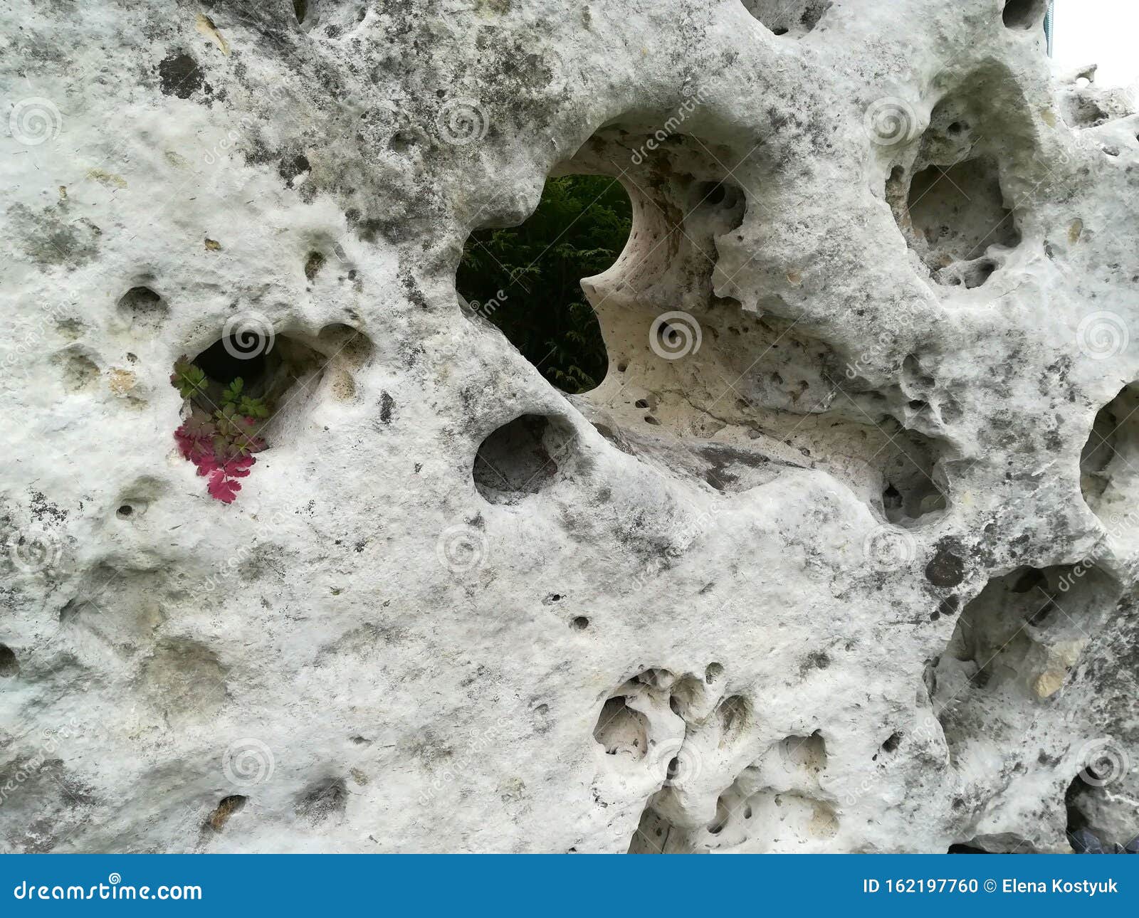 Granular Limestone Rock Surface. Limestone Crag Texture. Stock Photo ...