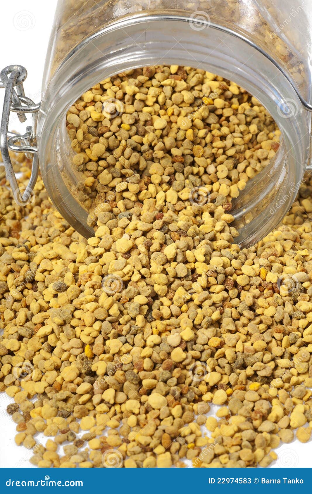 Granulated bee pollen stock image. Image of plant, ingredient - 22974583