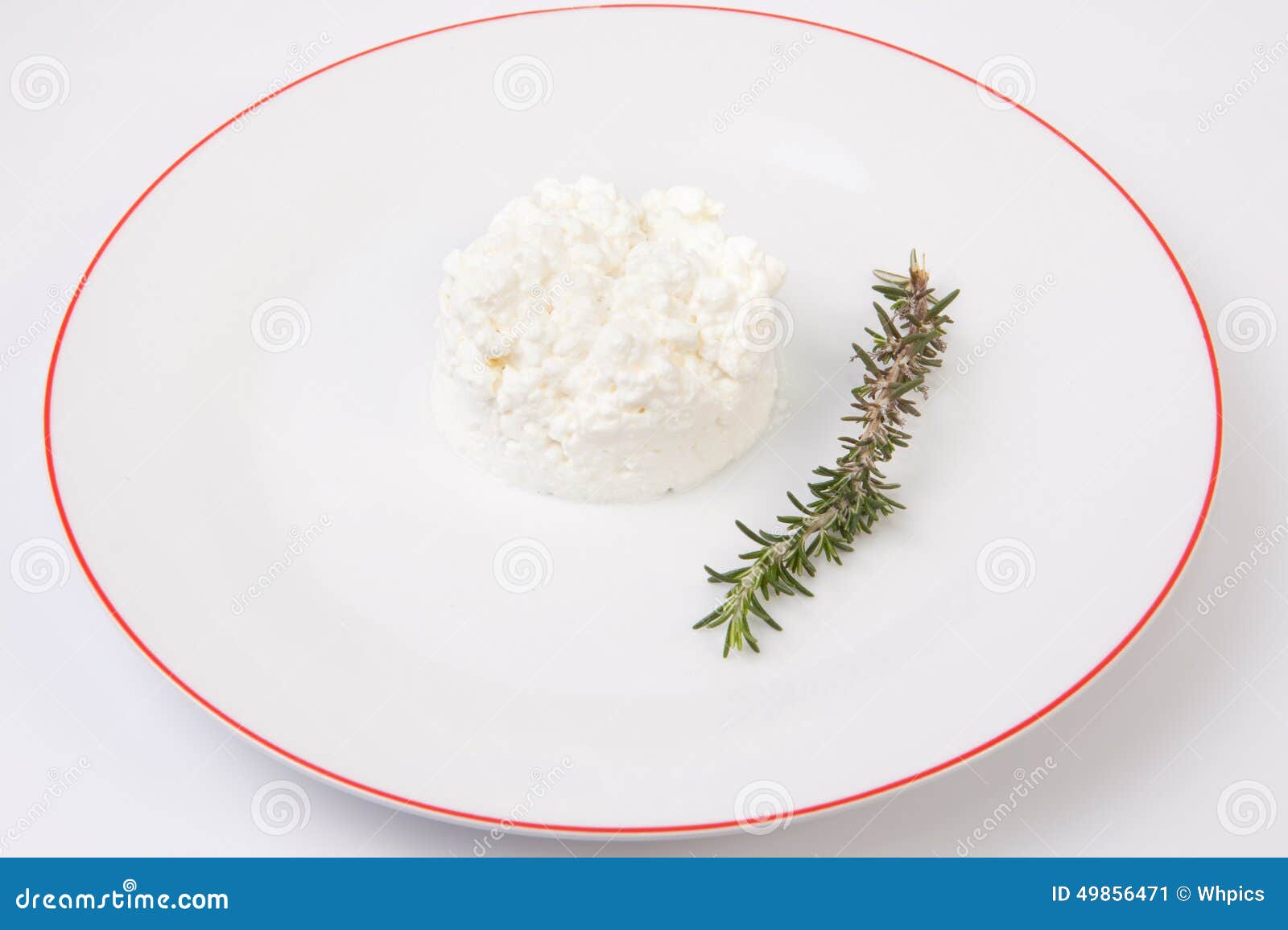 Granulated Cottage Cheese with Rosemary Stock Image - Image of ...
