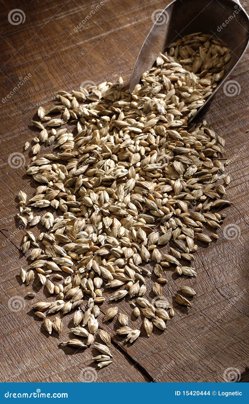 Granulo fotografia stock. Immagine di alambicchi, lamierina - 15420444