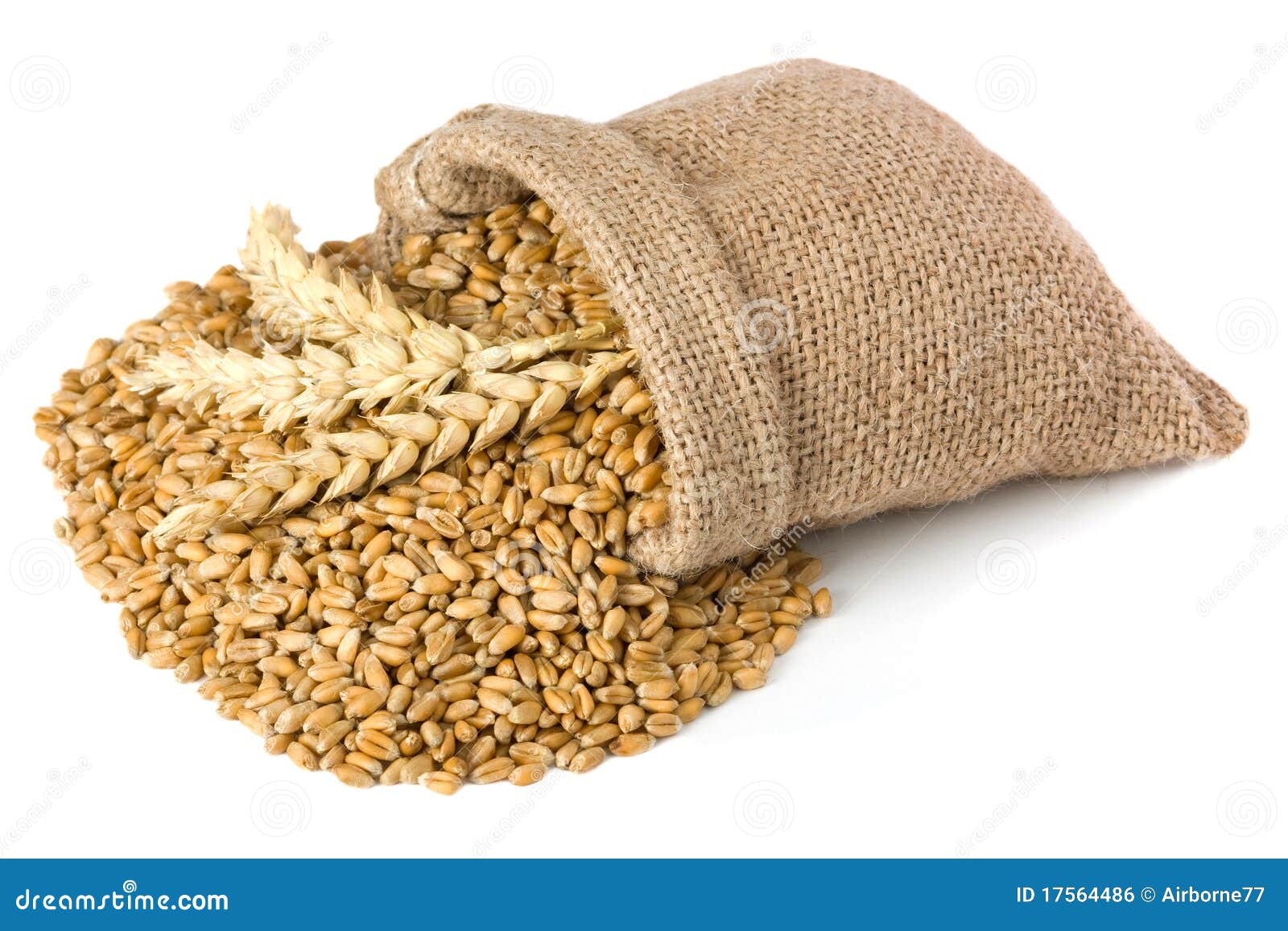 Granulo del frumento fotografia stock. Immagine di bordo - 17564486
