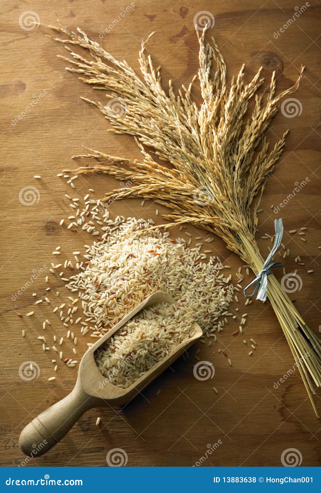 Granulo del riso fotografia stock. Immagine di podere - 13883638