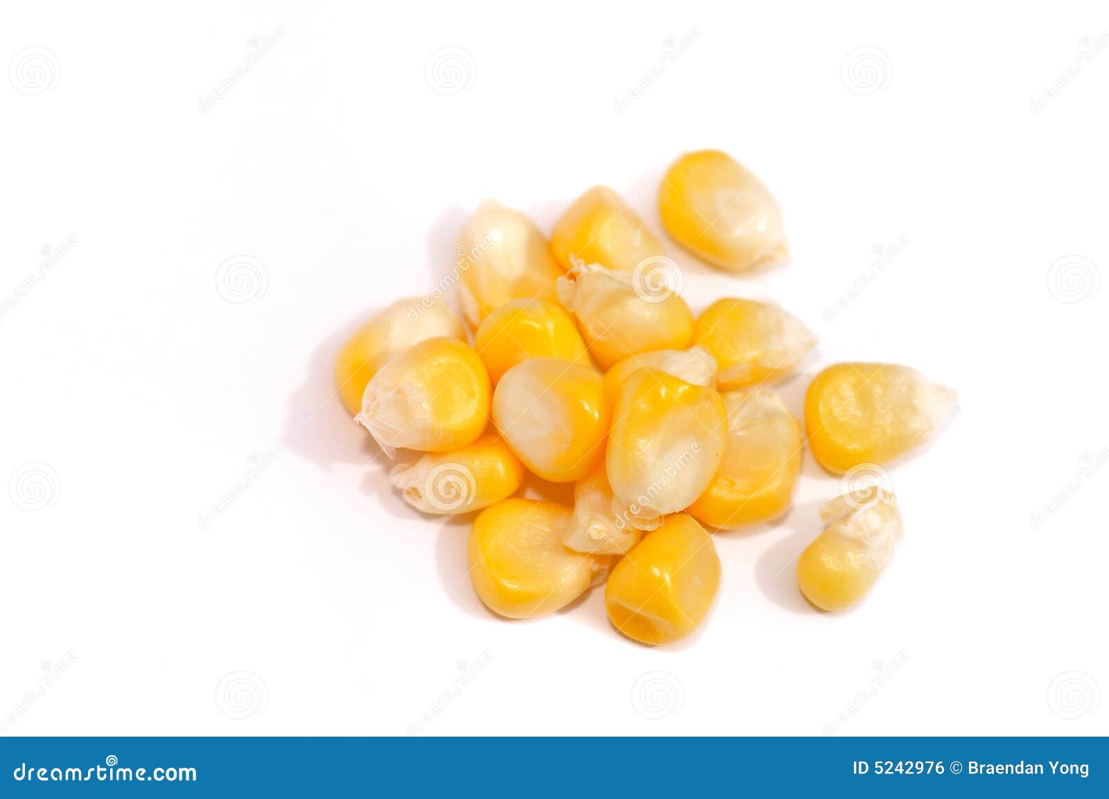 Granulo di cereale fotografia stock. Immagine di studio - 5242976