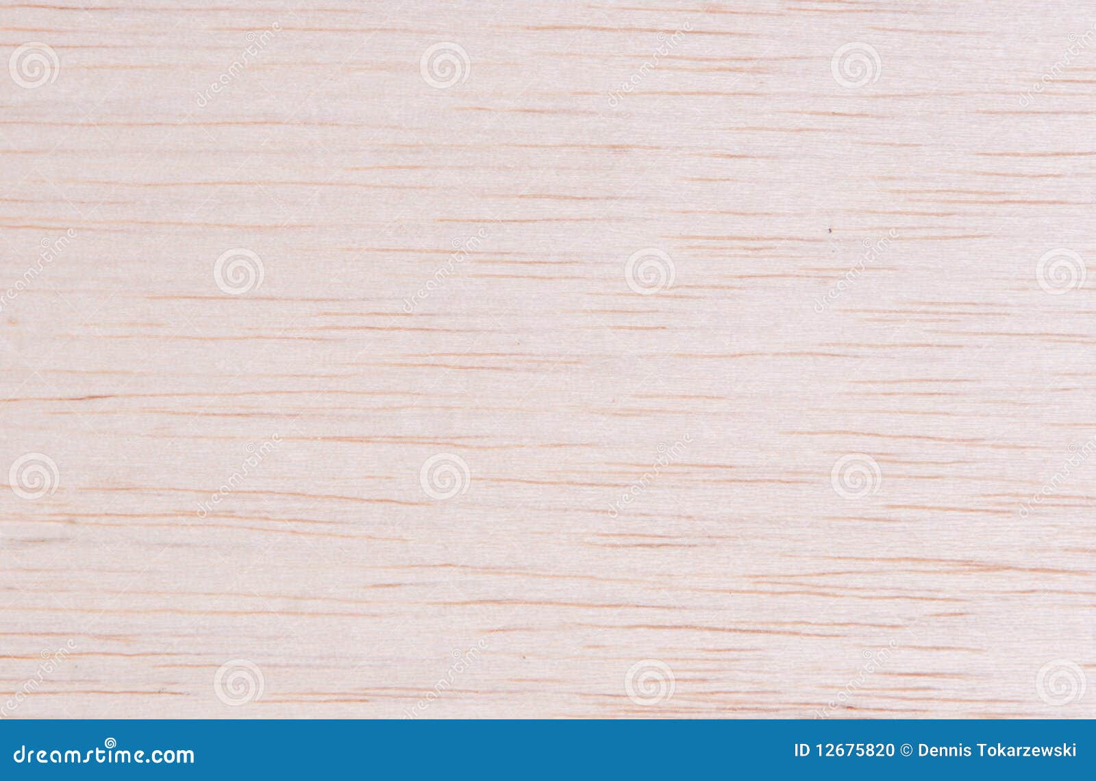 Granulo di legno di balsa fotografia stock. Immagine di particolare ...