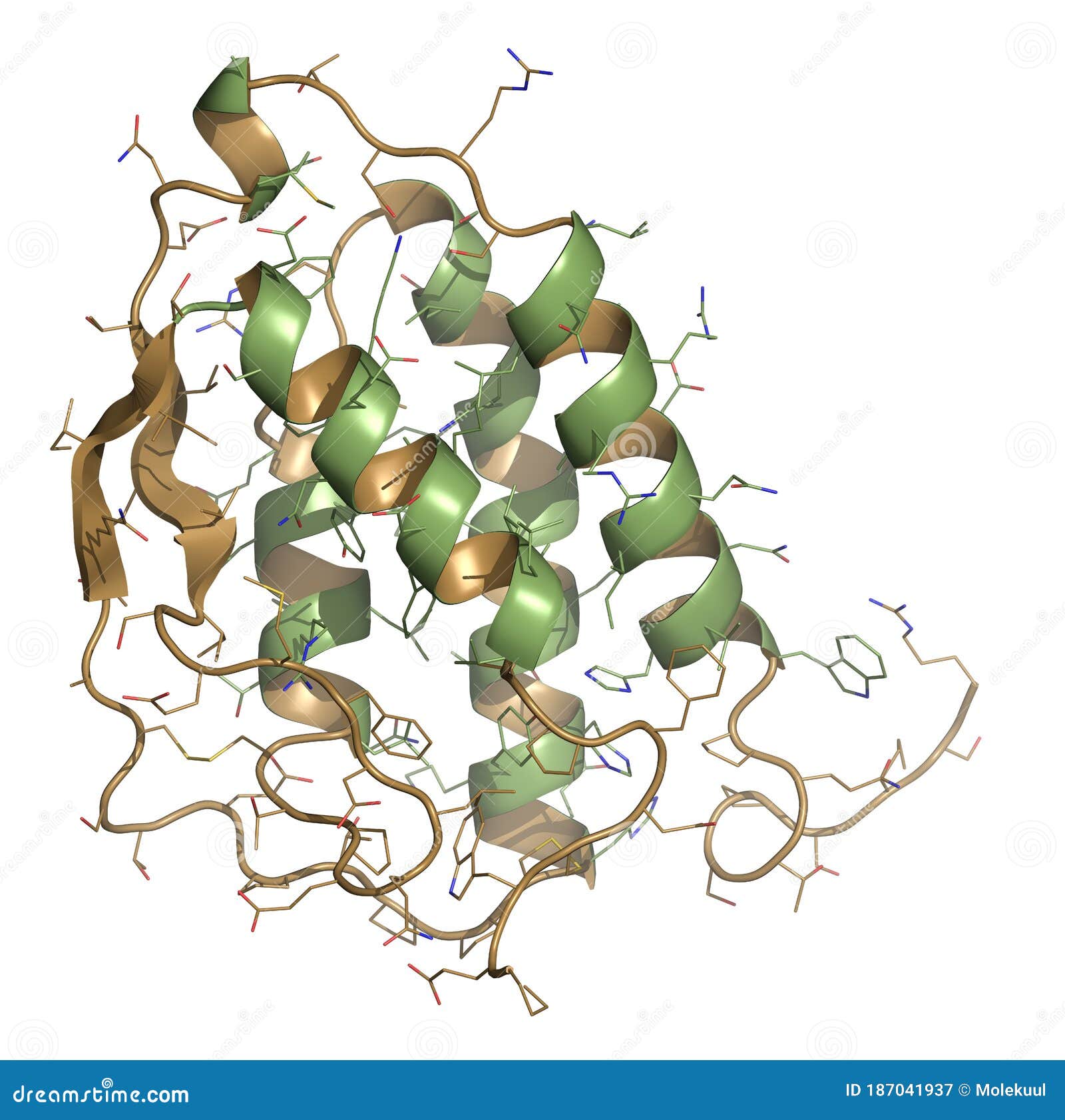 Granulocyte-macrophage Colony-stimulating Factor (GM-CSF, Molgramostim ...