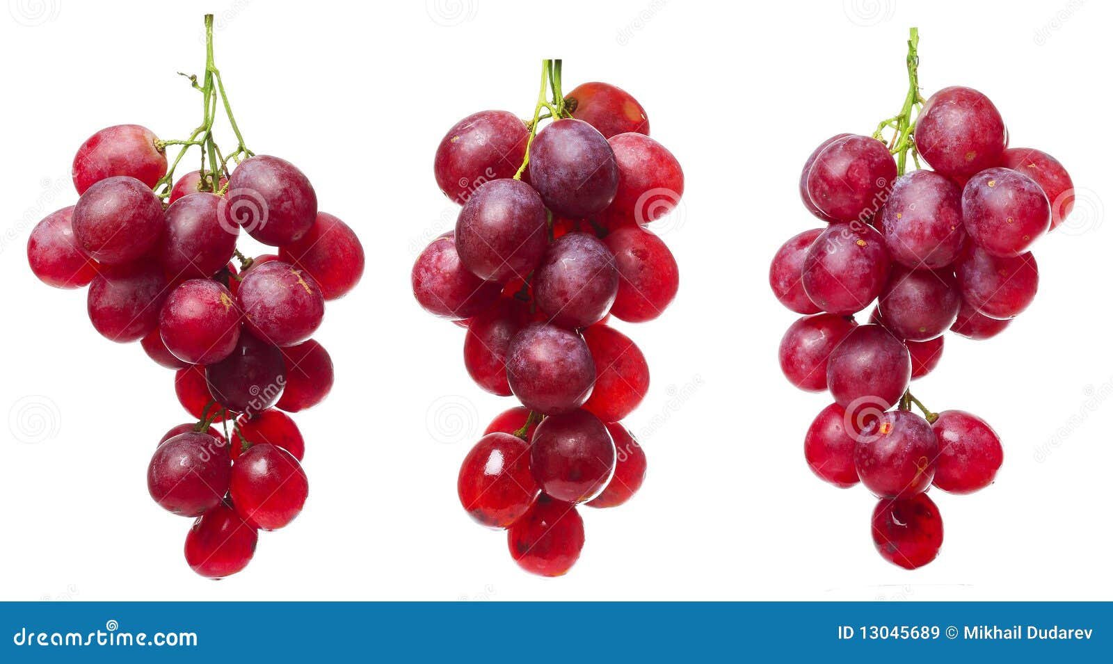 Grape stock image. Image of stem, fruit, harvesting, agriculture - 13045689