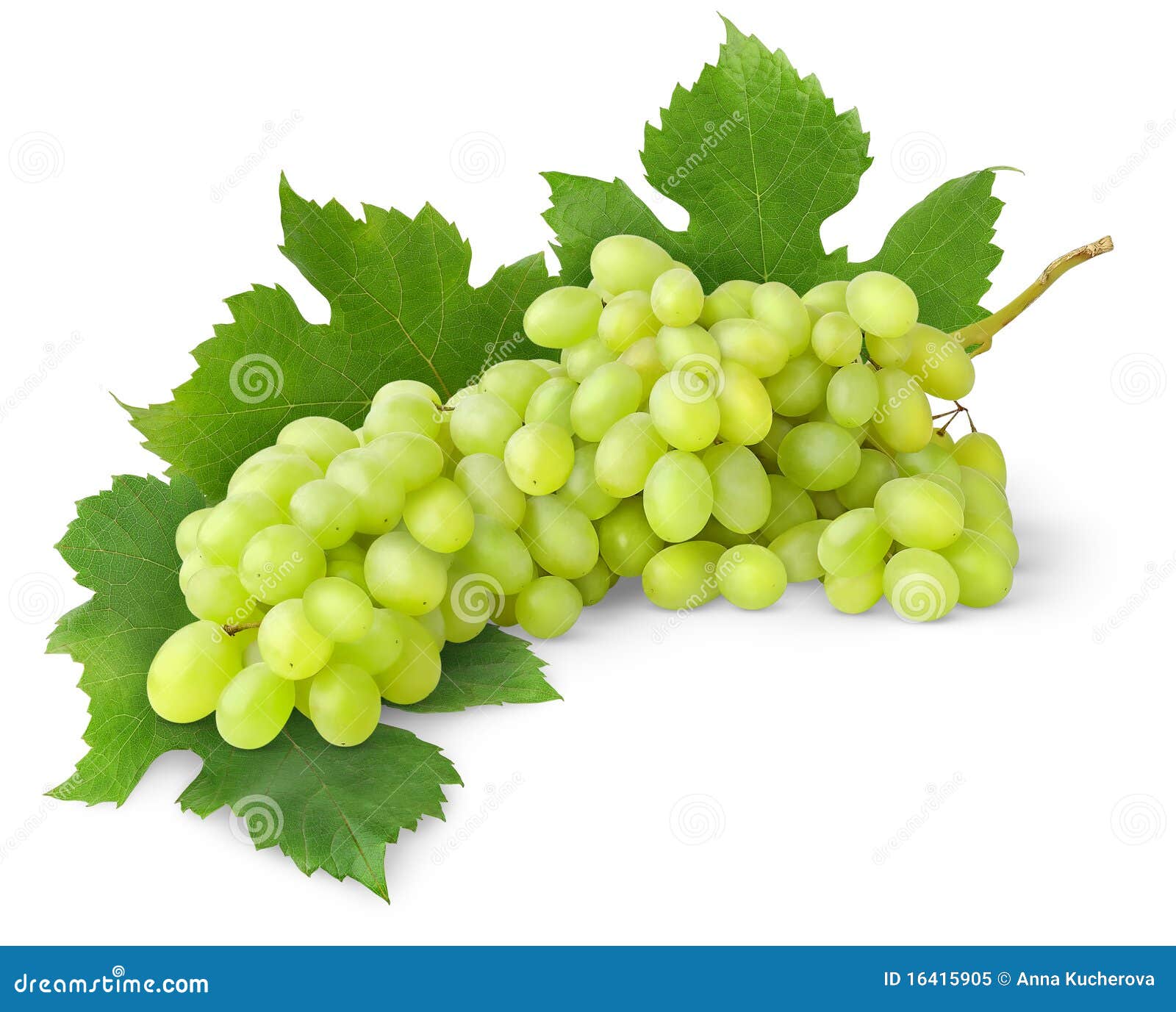 Isolated white grapes stock image. Image of ingredient - 16415905