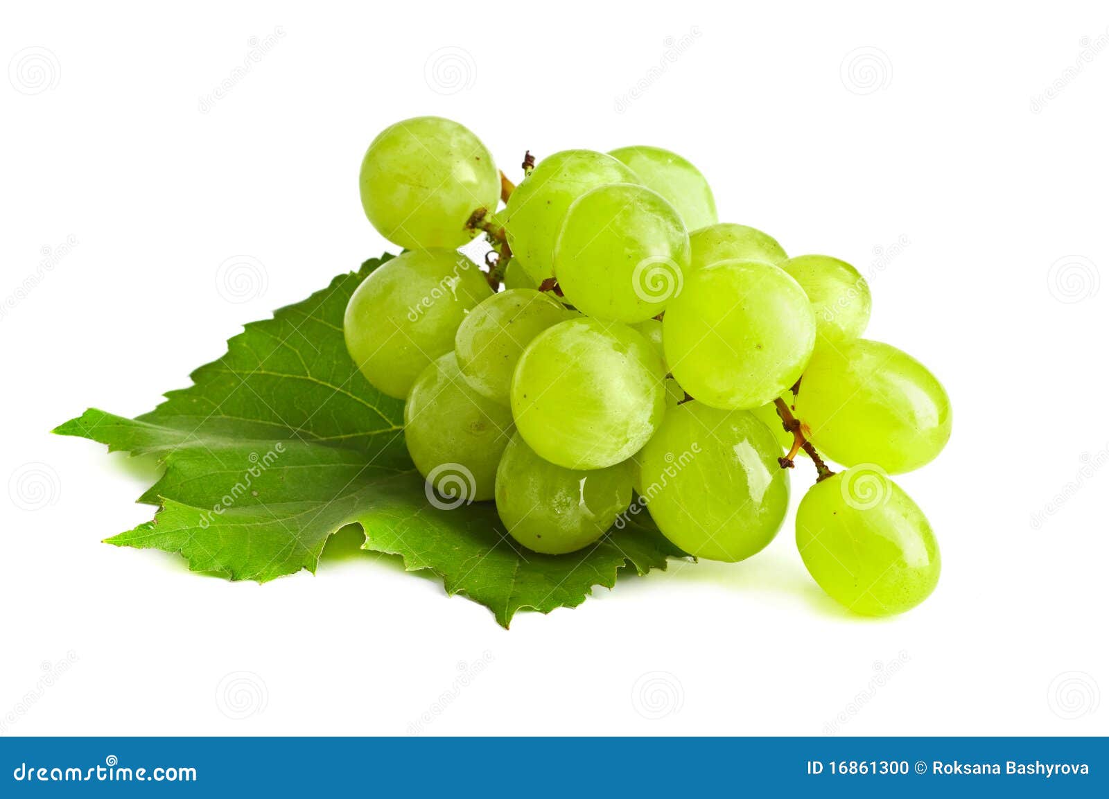 Grape stock photo. Image of agriculture, dessert, farming - 16861300