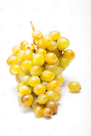 Grape stock image. Image of fruit, grapevine, goblet - 19141863