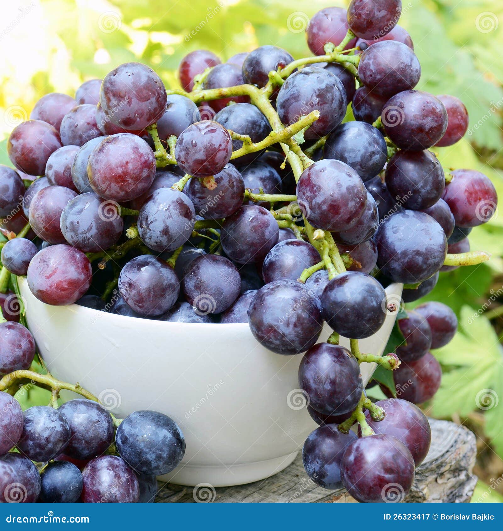 Grape stock image. Image of macro, autumn, sweet, food - 26323417