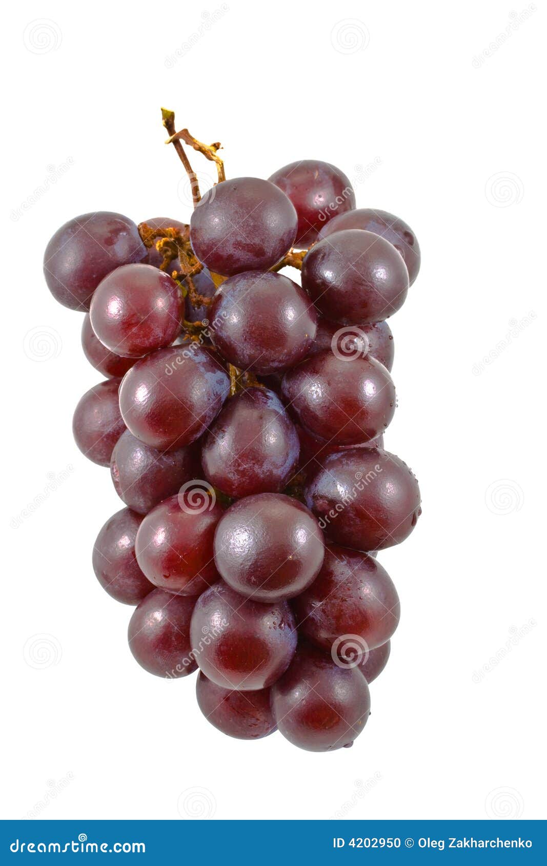 Grape Picture. Image: 4202950