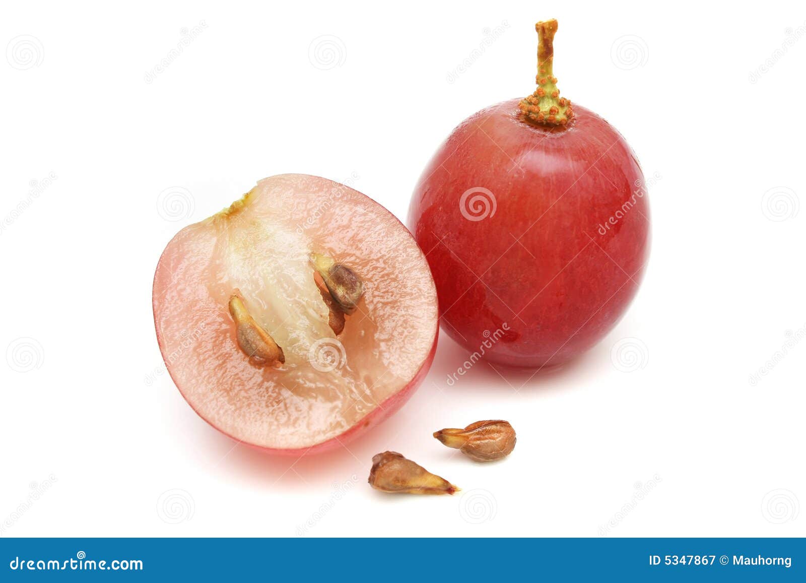 Grape stock image. Image of healthy, slice, winemaking - 5347867