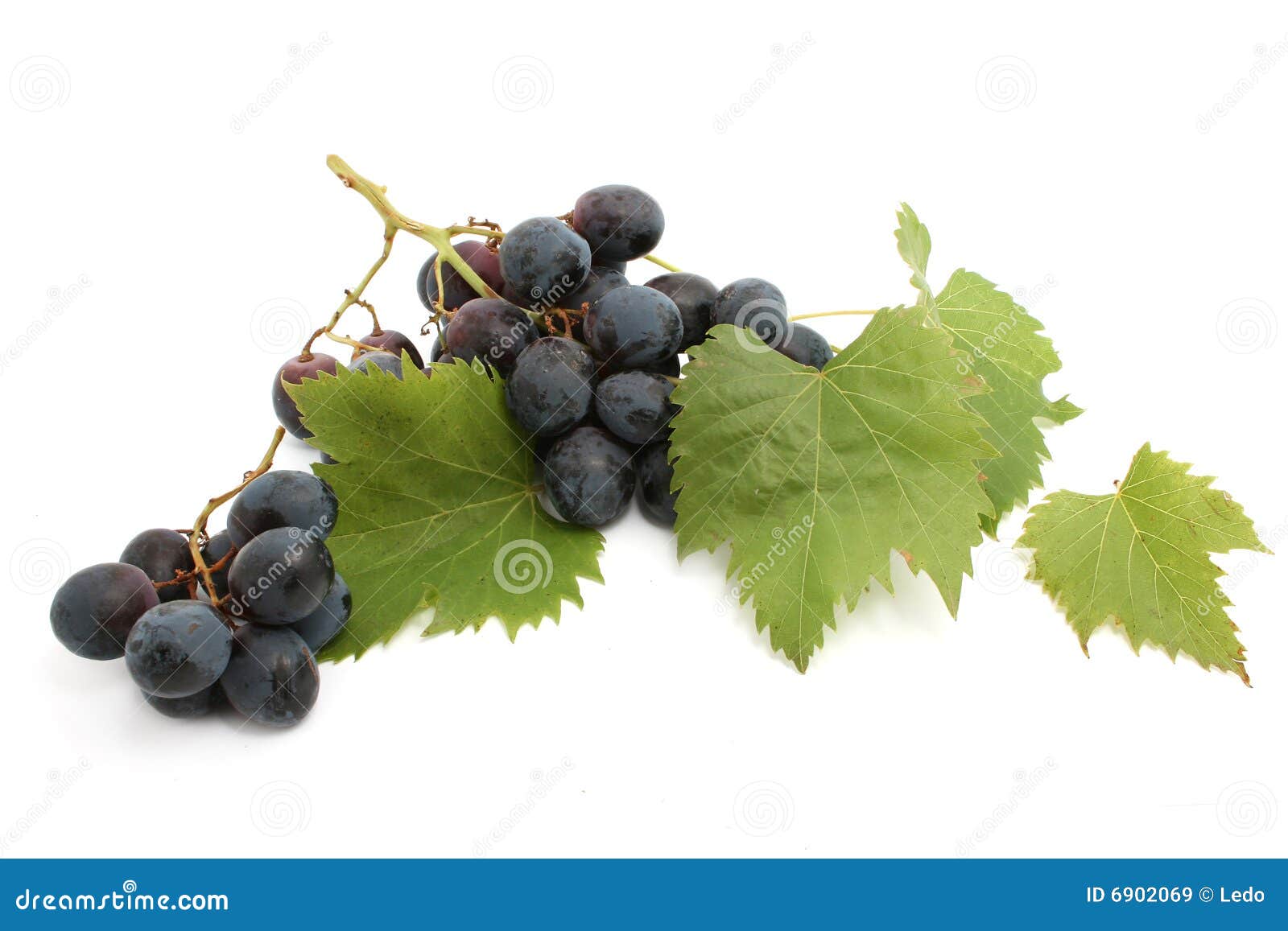 Grape stock image. Image of isolated, fruit, wine, cluster - 6902069