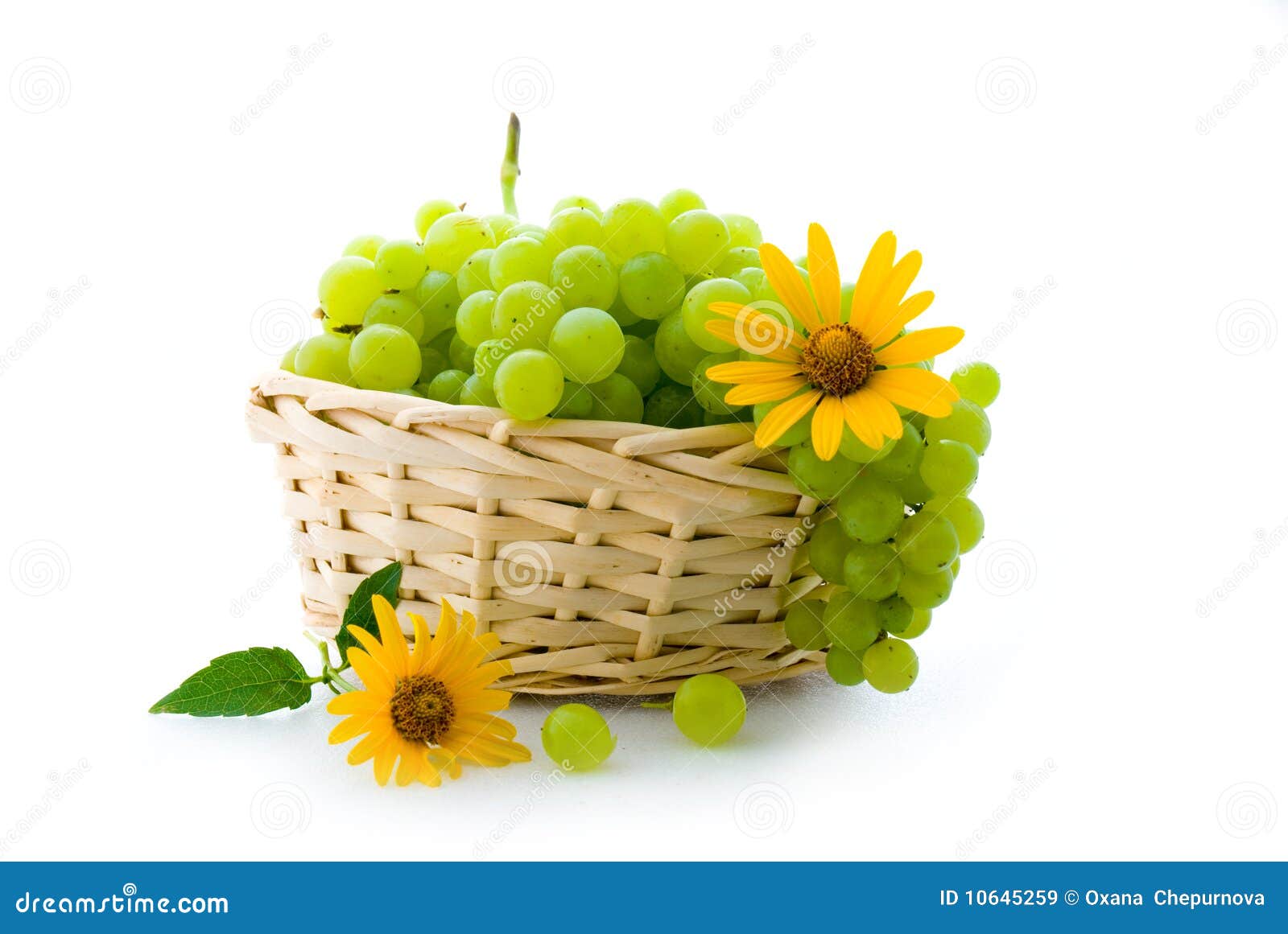 Grape in basket stock image. Image of flower, isolated - 10645259