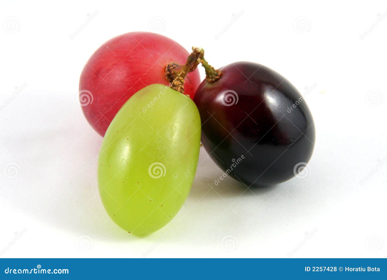 Grape berry stock photo. Image of isolated, vegetarian - 2257428