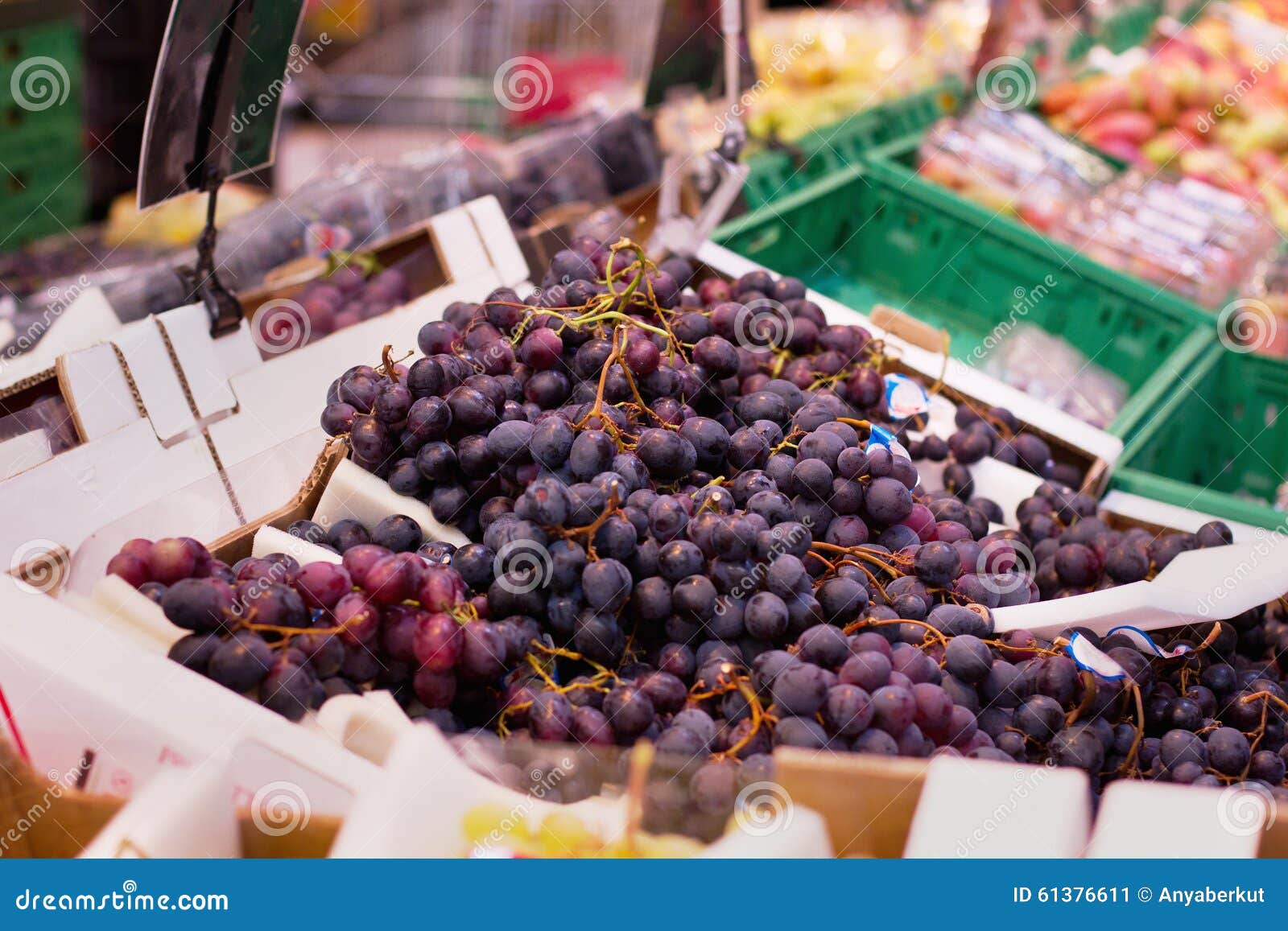 Grape stock image. Image of shop, food, shelf, fruits - 61376611