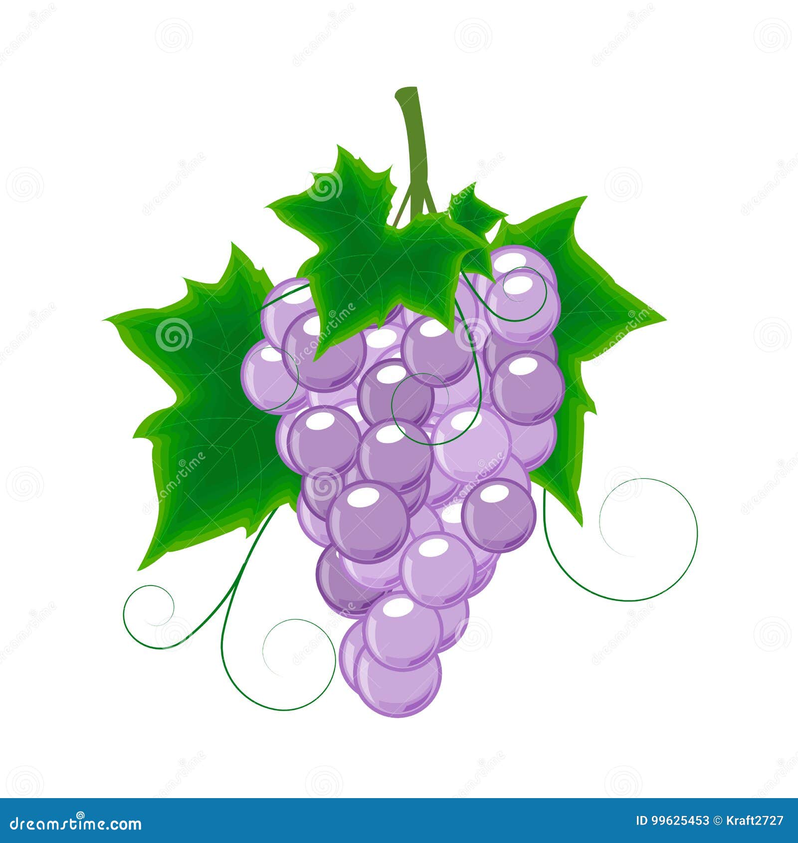 Grape of blue grapes stock vector. Illustration of blue - 99625453