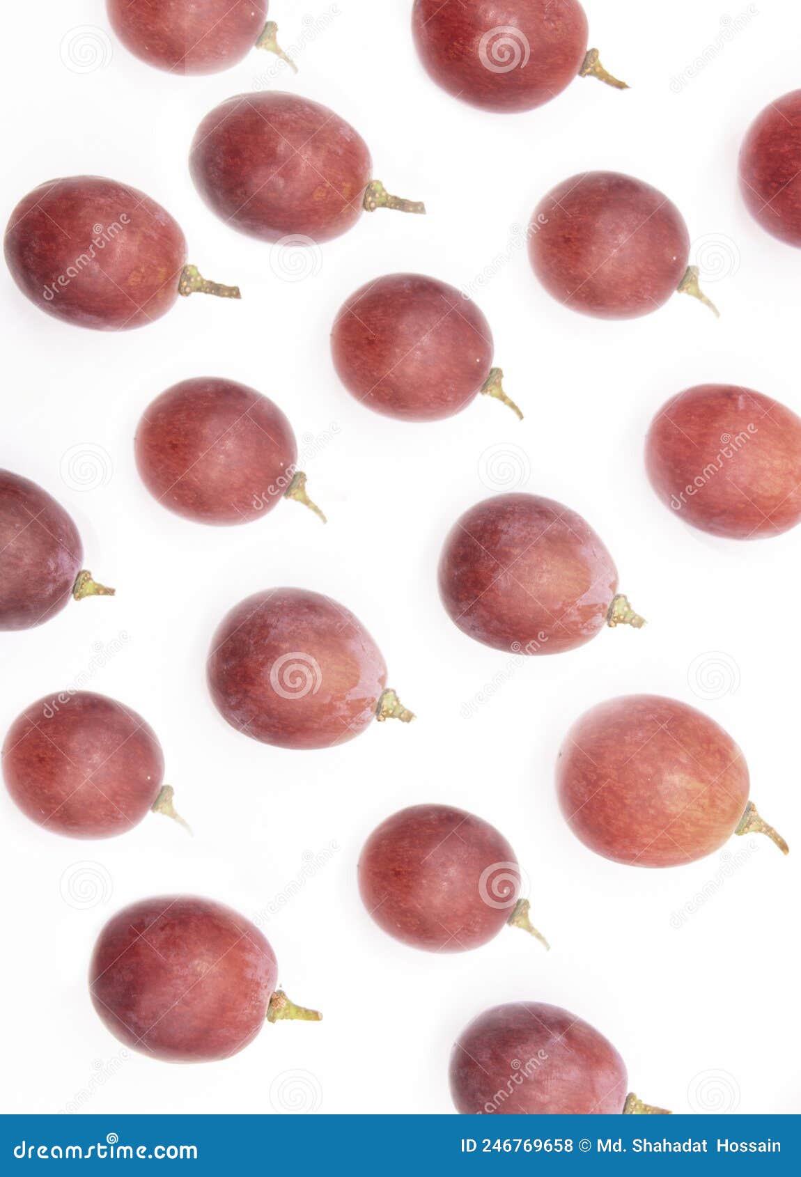 Grape Branch Isolated on White. with Clipping Path Stock Photo - Image ...