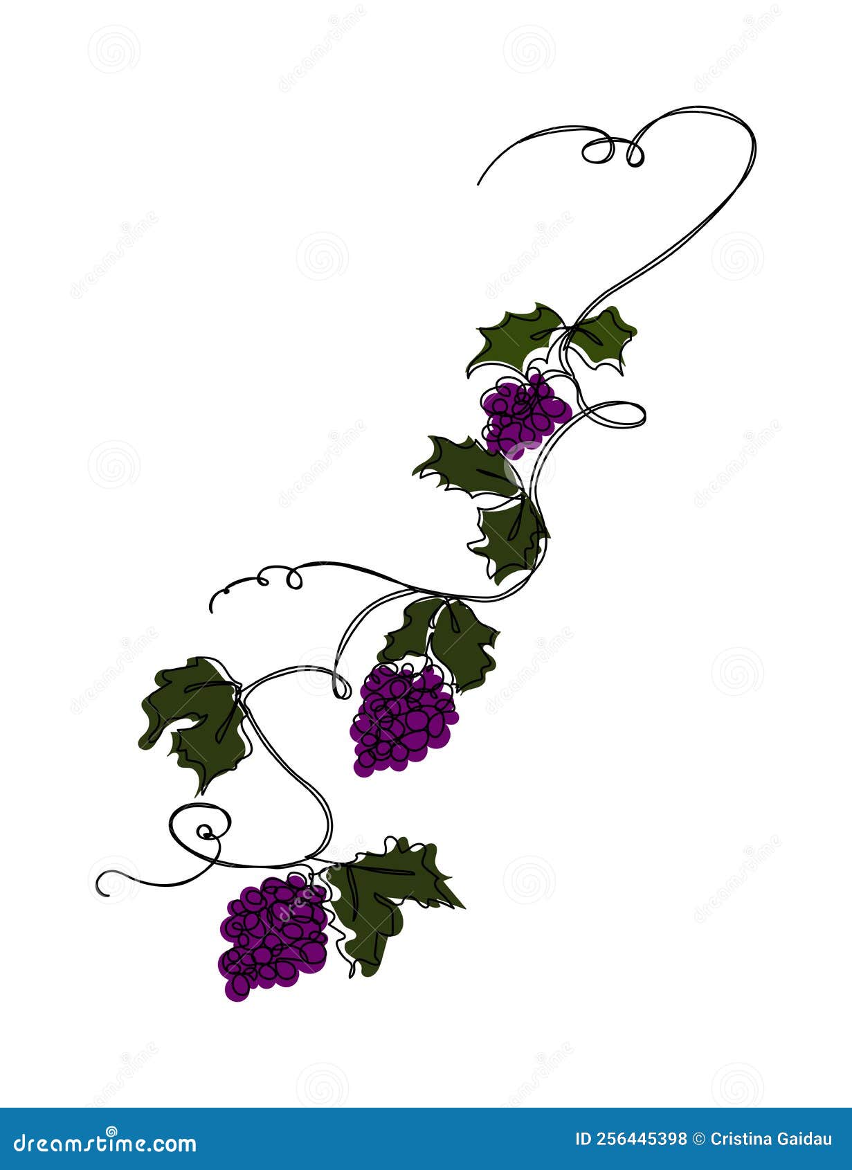 Grape Branch One Continious Line Vector Illustration Stock Vector ...