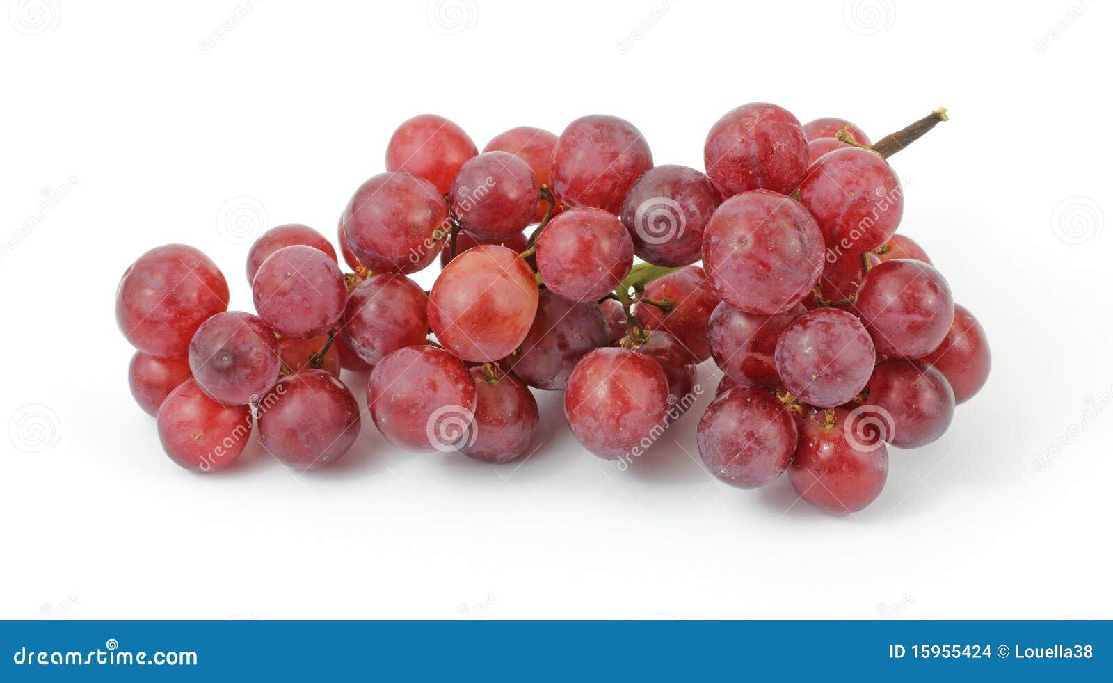 Grape Bunch stock photo. Image of nice, green, shades - 15955424