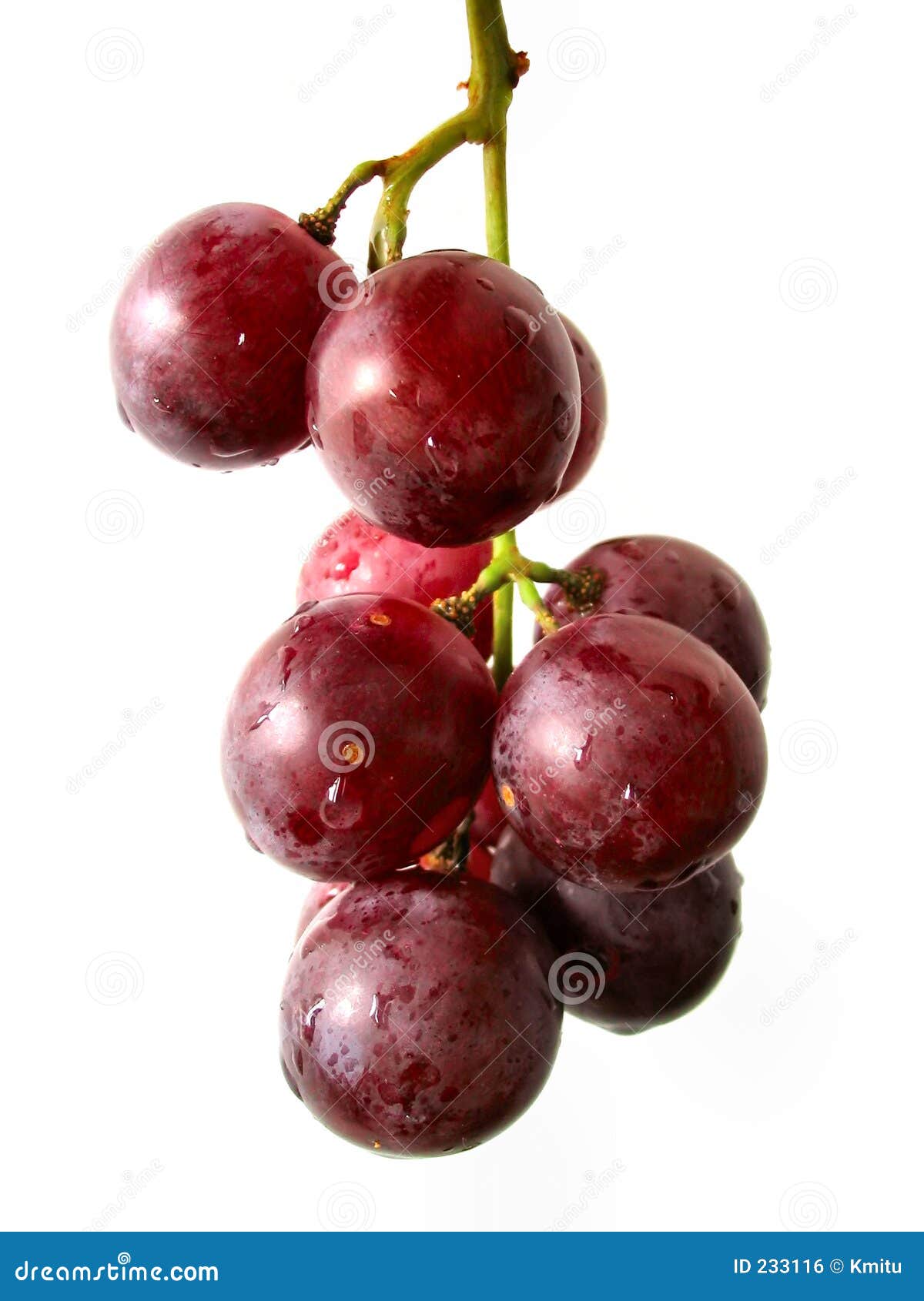 Grape bunch isolated stock photo. Image of diet, fruitage - 233116