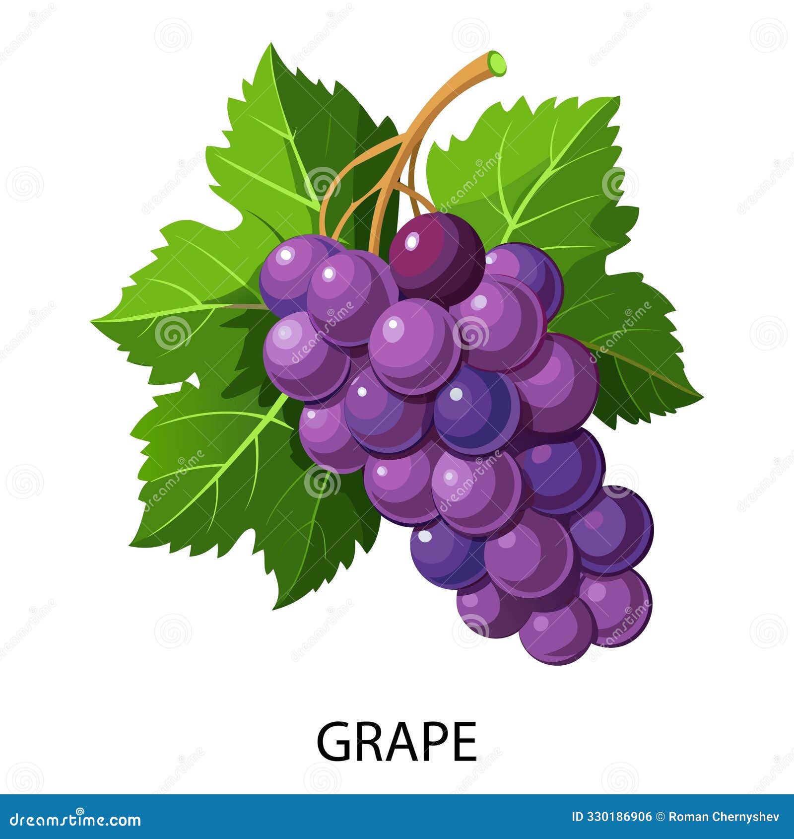 Grape in Cartoon Style on a White Background. Stock Illustration ...
