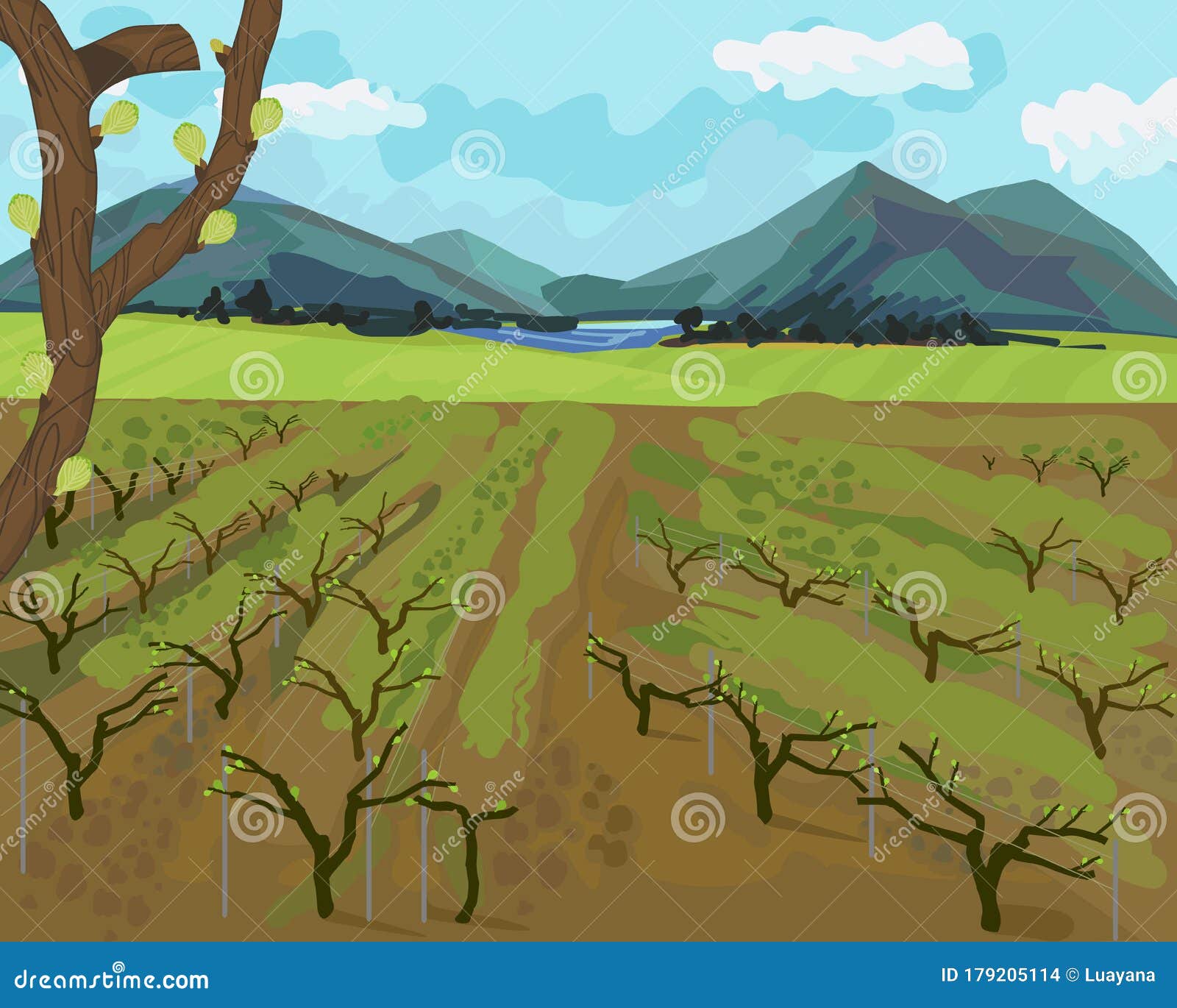 Spring Landscape with Vineyard, Mountains on Horizon and Blue Sky Stock ...