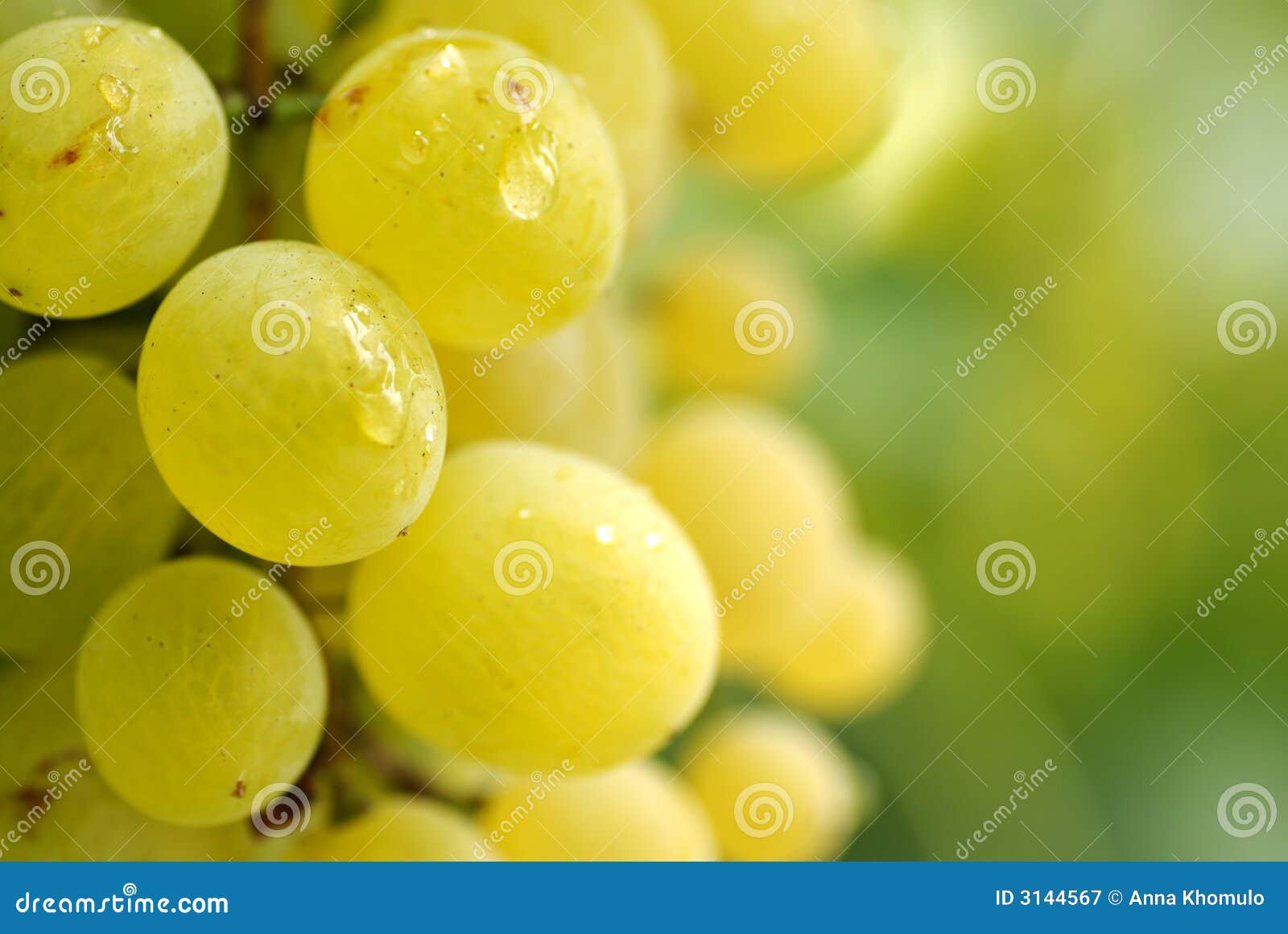Grape close-up stock image. Image of cluster, food, summer - 3144567