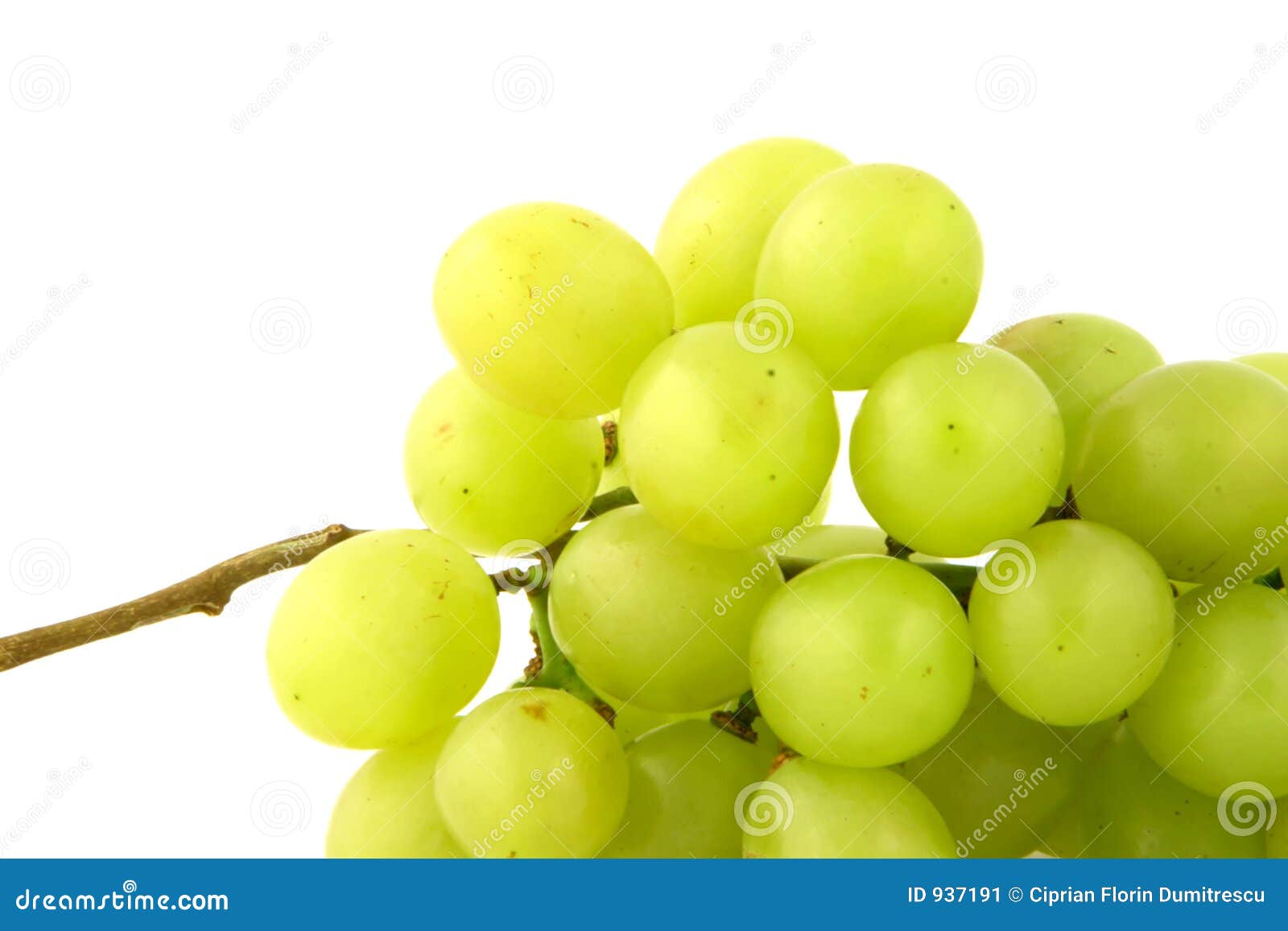 Grape close-up stock image. Image of desert, healthy, environment - 937191