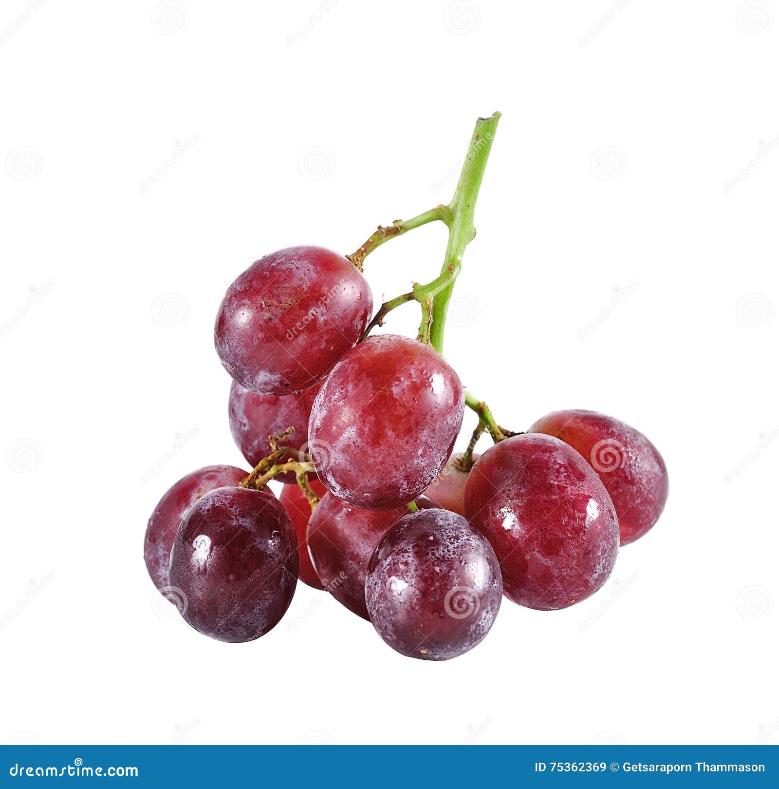 Grape Close Up Isolated on White Background Stock Image - Image of drop ...
