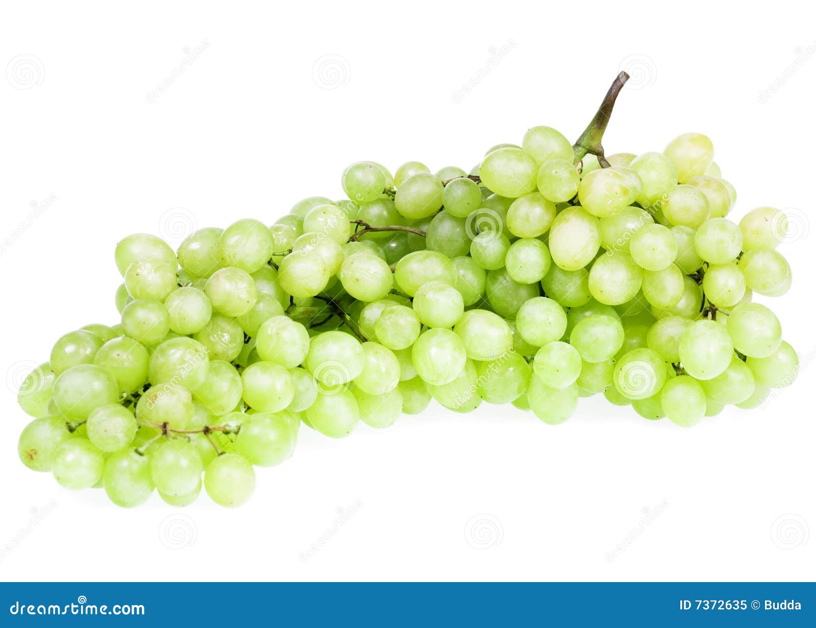 Grape cluster stock image. Image of background, branch - 7372635
