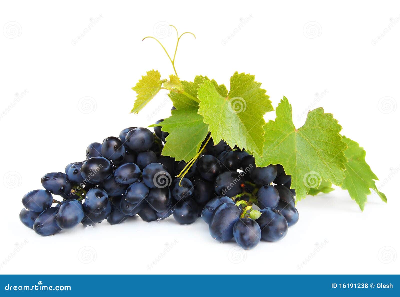 Grape Cluster with Green Leafs Stock Photo - Image of leaf, dessert ...