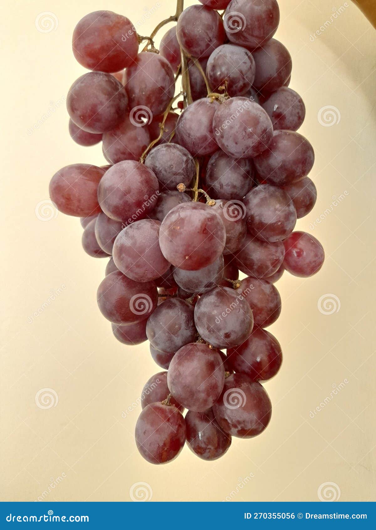 Grape Cluster with Green Leaves Isolated on White Background Stock ...