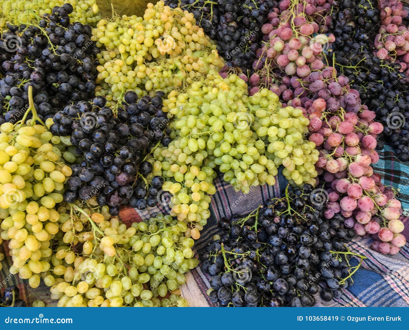 Grape Clusters, Grape Grain Stock Image - Image of isolated, market ...