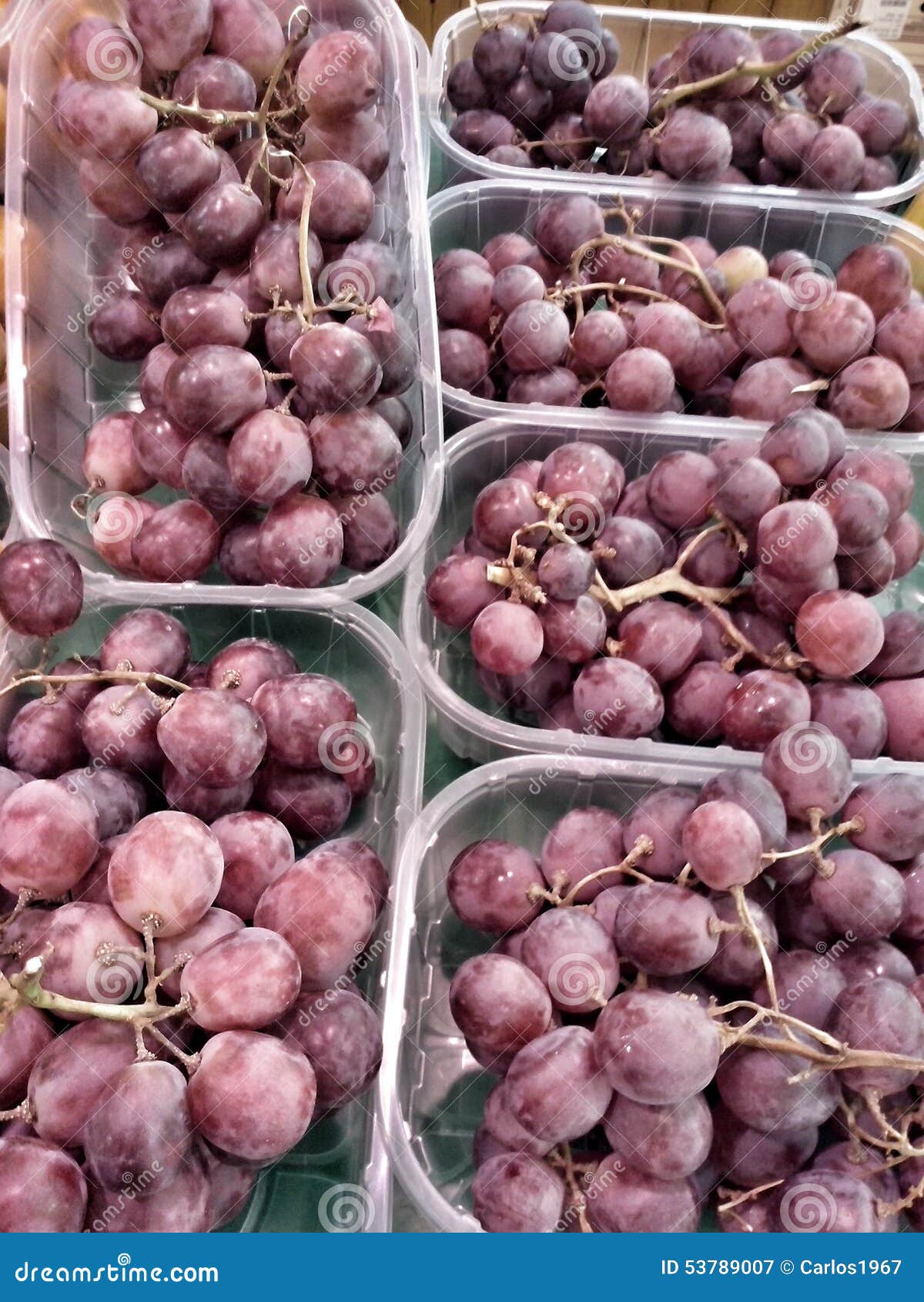 Grape stock image. Image of grapes, grape, fruit, black - 53789007