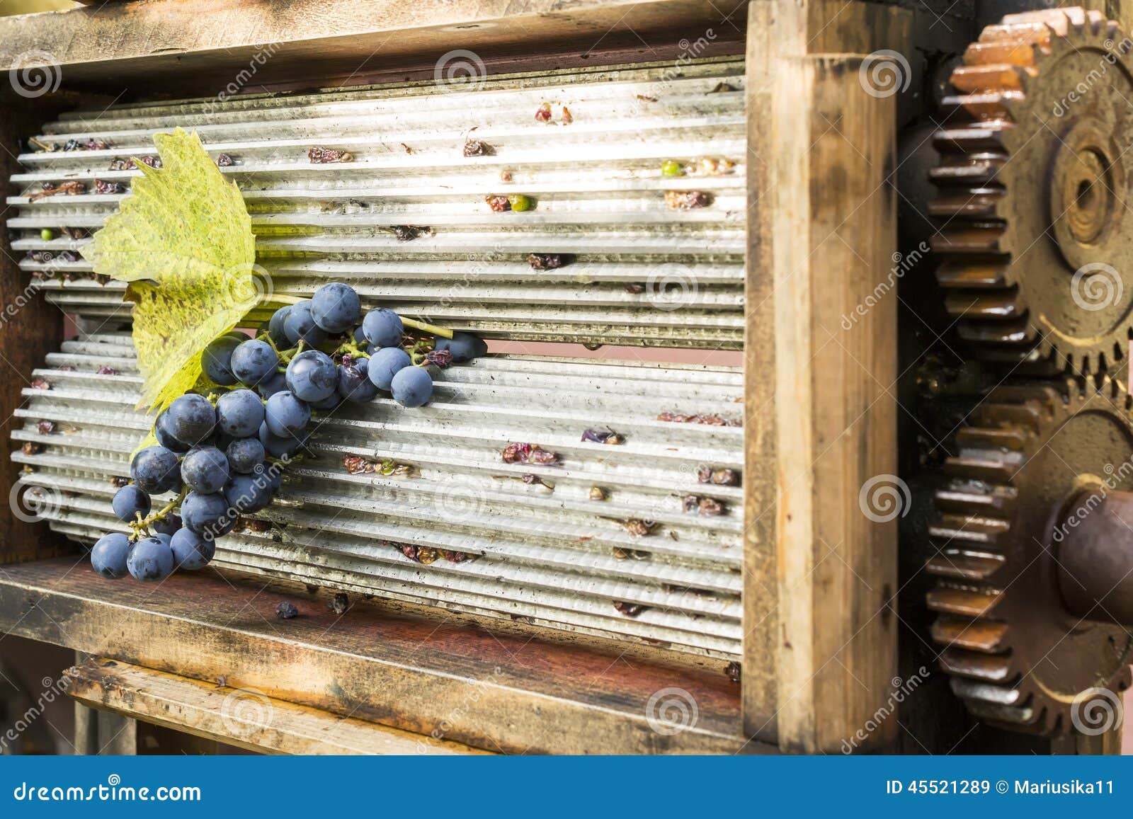 Grape crusher stock image. Image of retro, wooden, tool - 45521289