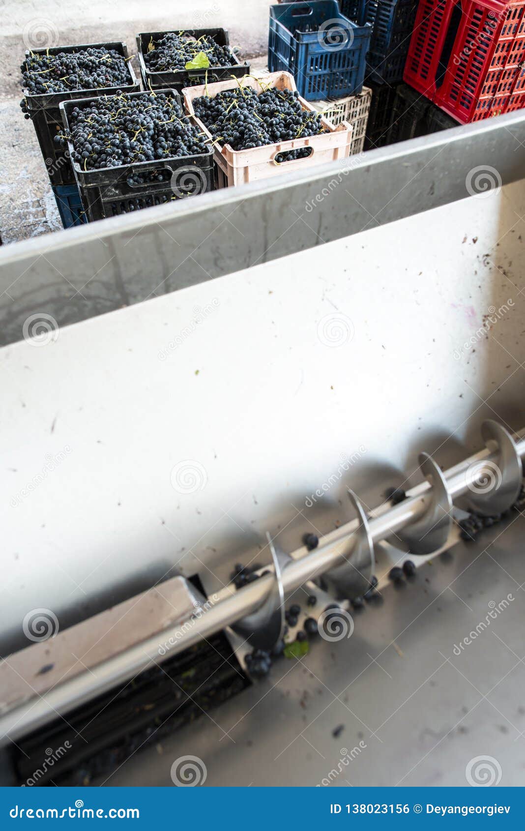 Grape crushing machine stock photo. Image of harvest - 138023156