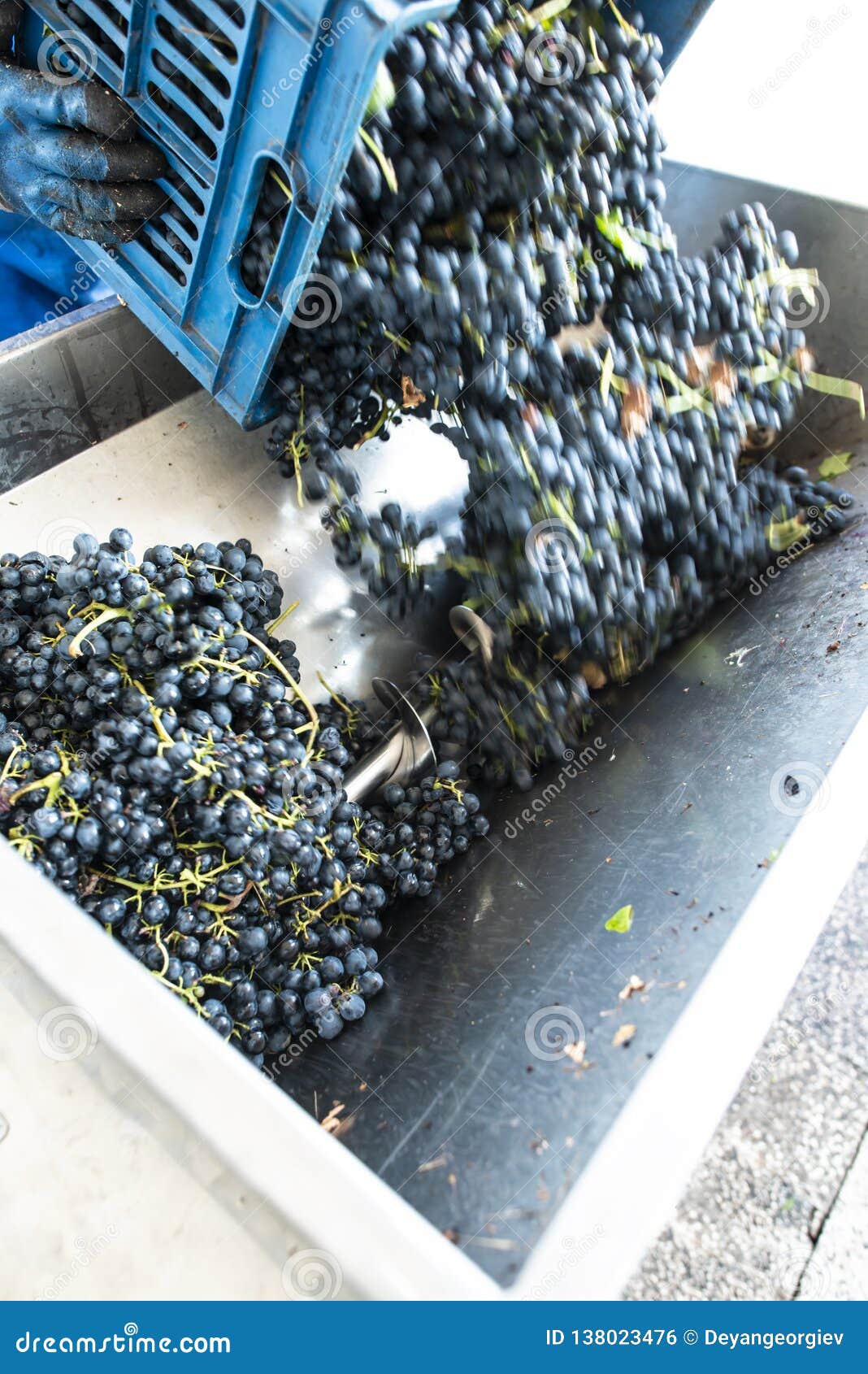 Grape crushing machine stock photo. Image of press, manufacturing ...