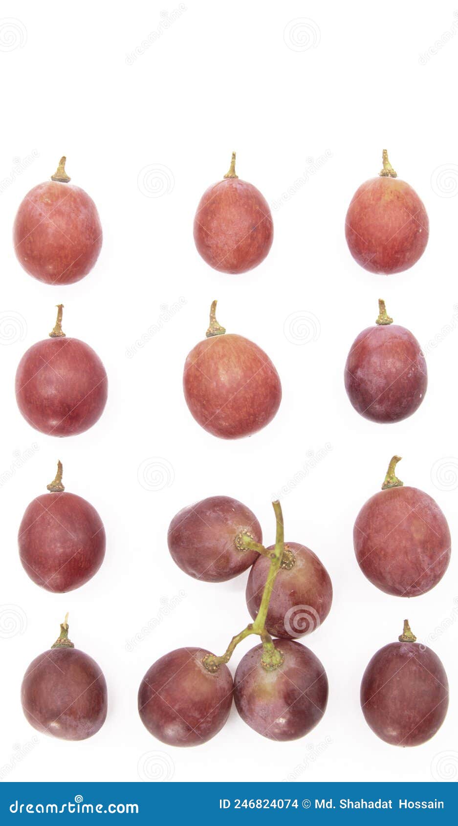 Grape Designed Isolated on White.top View Stock Photo - Image of grower ...