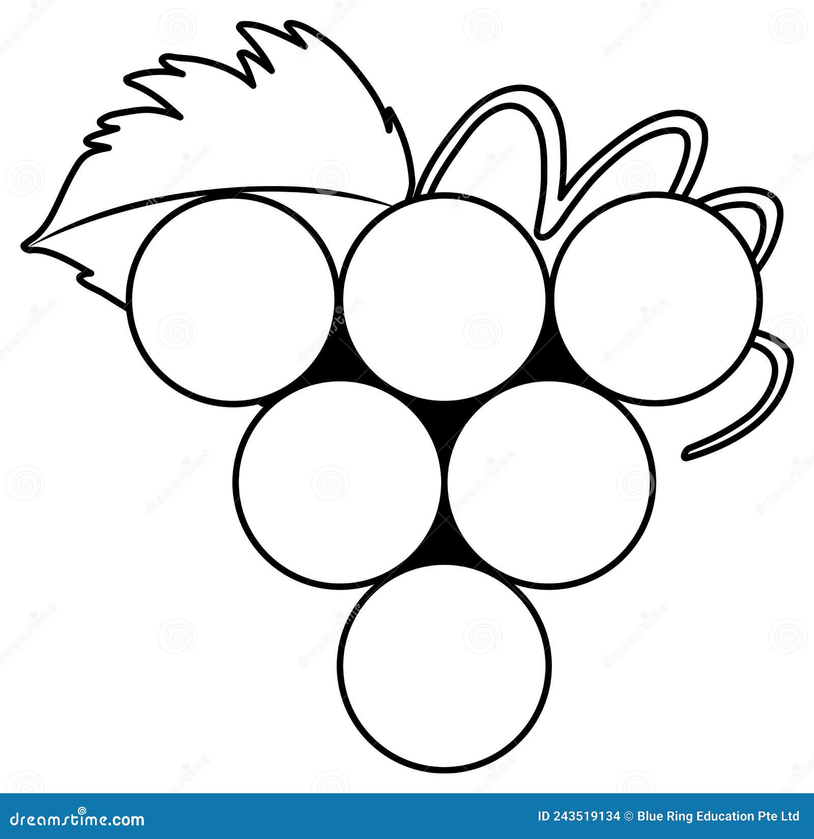 Grape Doodle Outline for Colouring Stock Vector - Illustration of ...