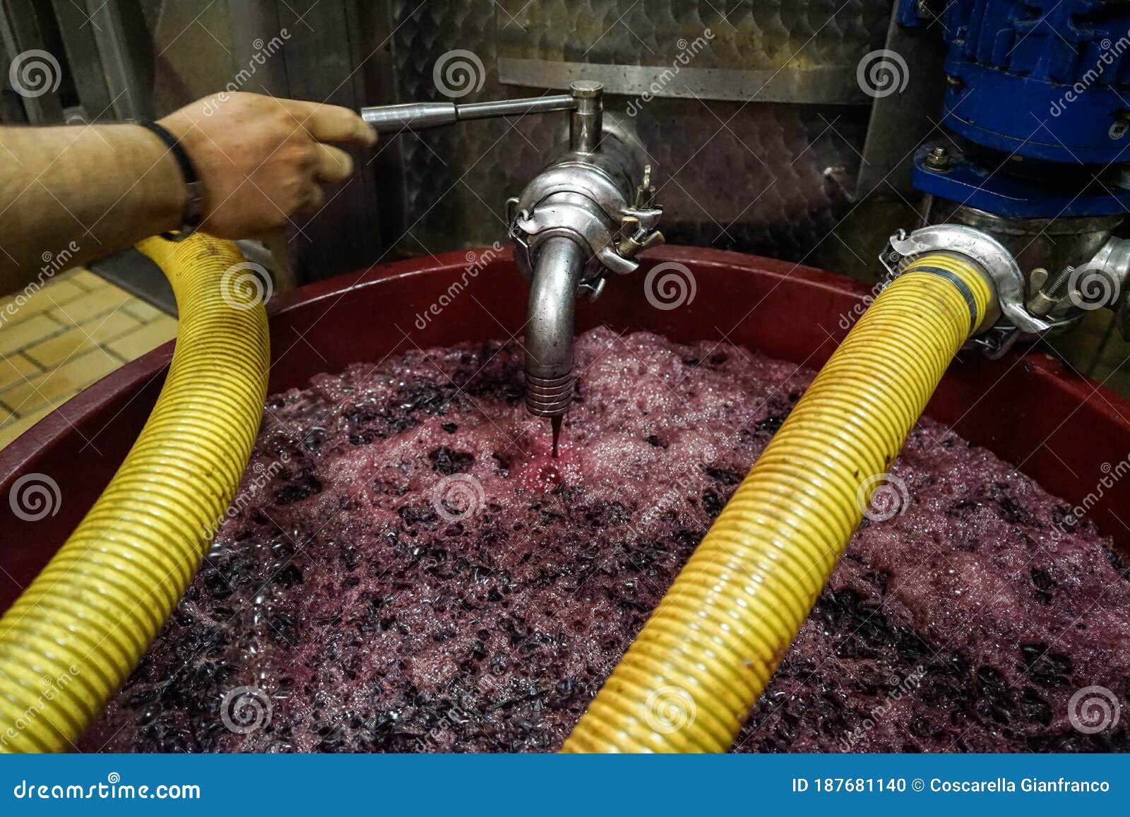 The Grape fermentation stock photo. Image of tanks, basin - 187681140