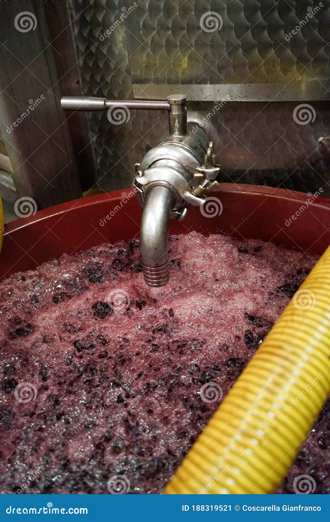 The grape fermentation stock image. Image of liquid - 188319521