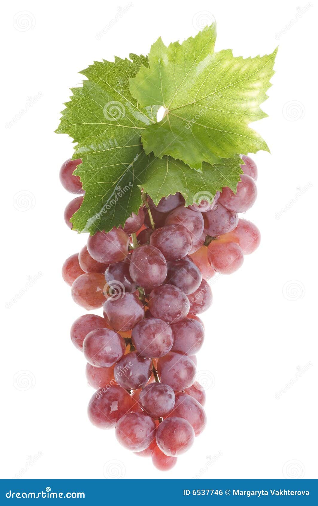 Grape food over white stock photo. Image of healthy, bunch - 6537746
