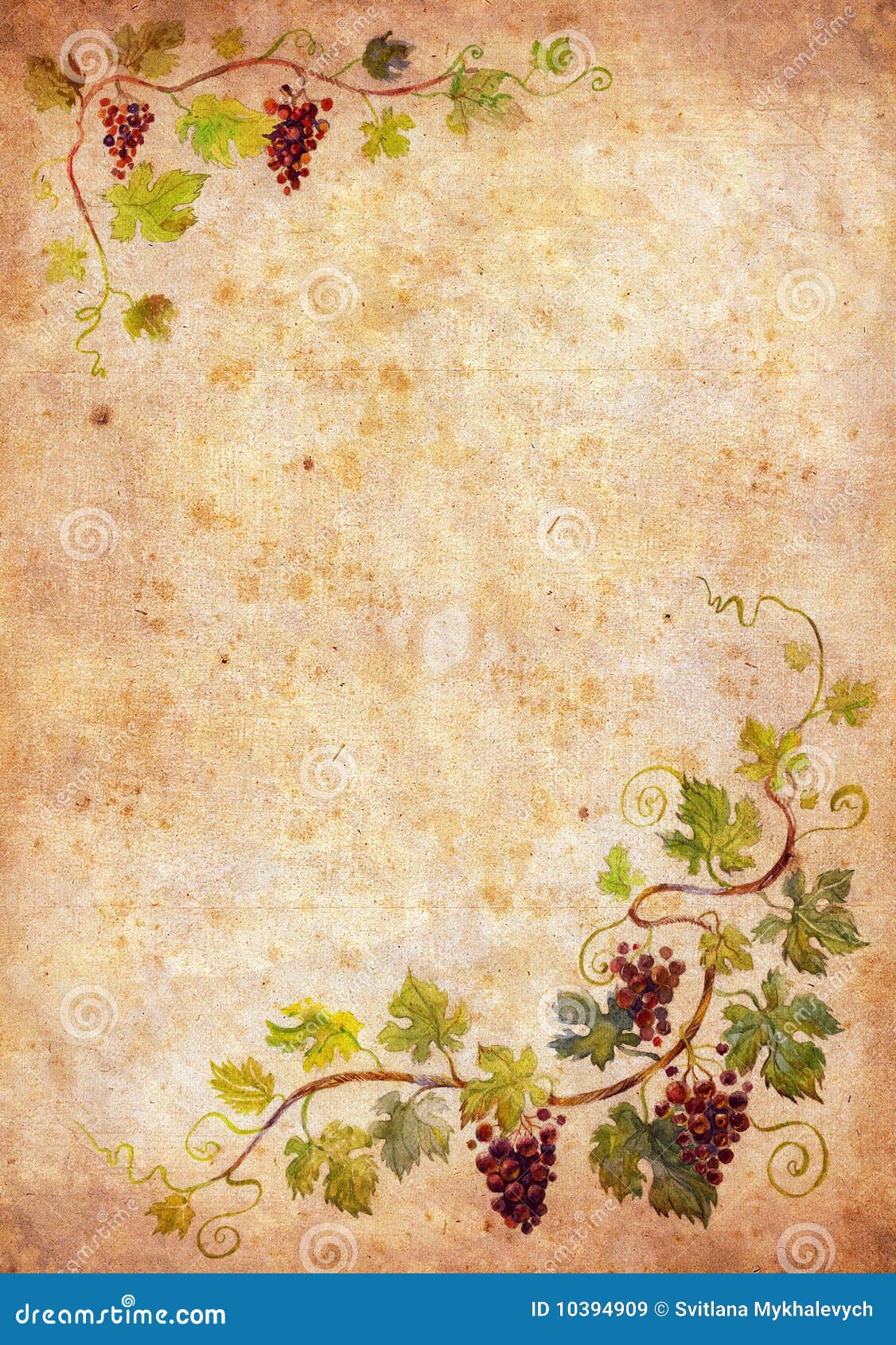 Grape Frame | Antique Design Illustrations Stock Photo | CartoonDealer ...