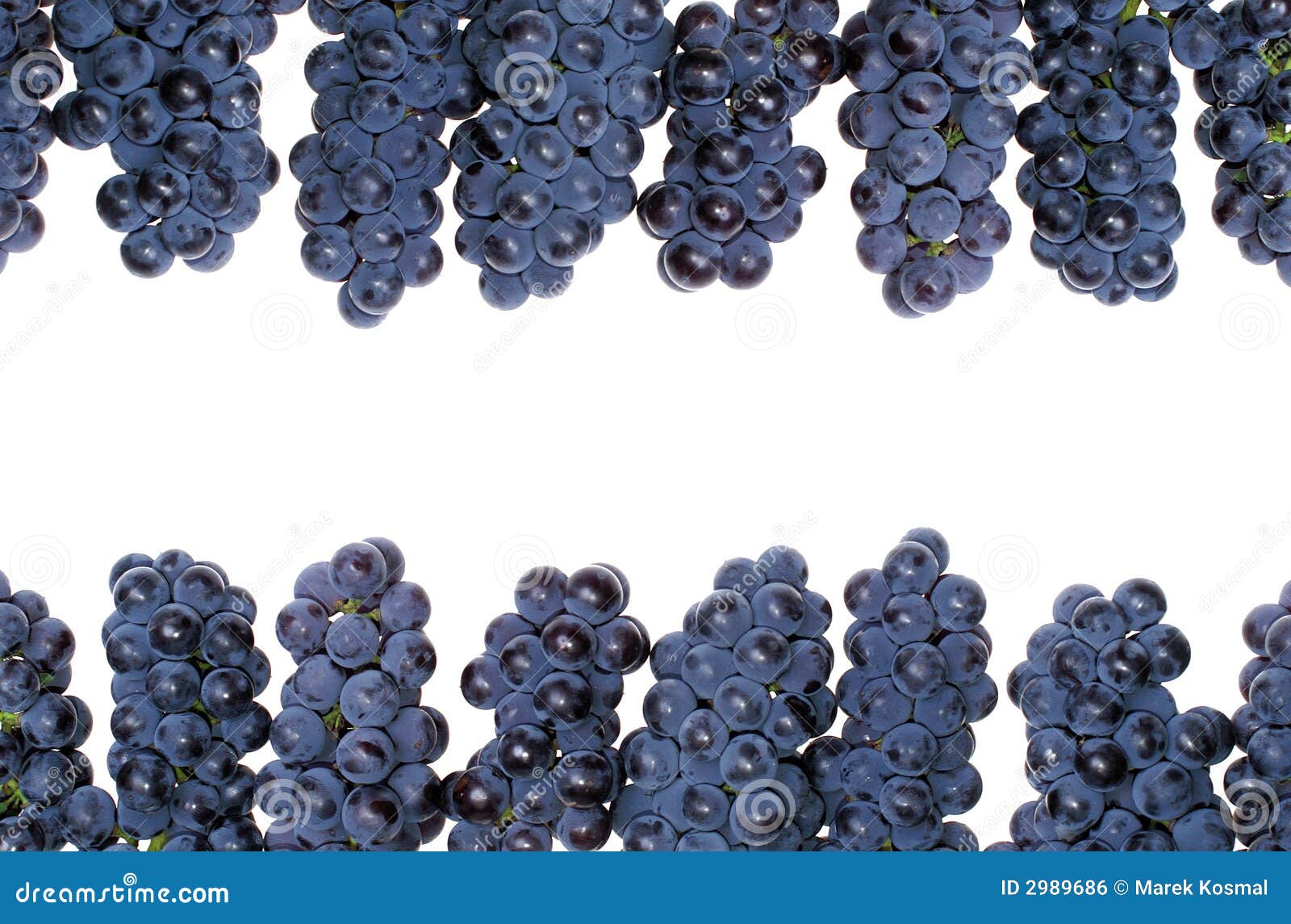 Grape frame stock photo. Image of vineyard, nature, frame - 2989686