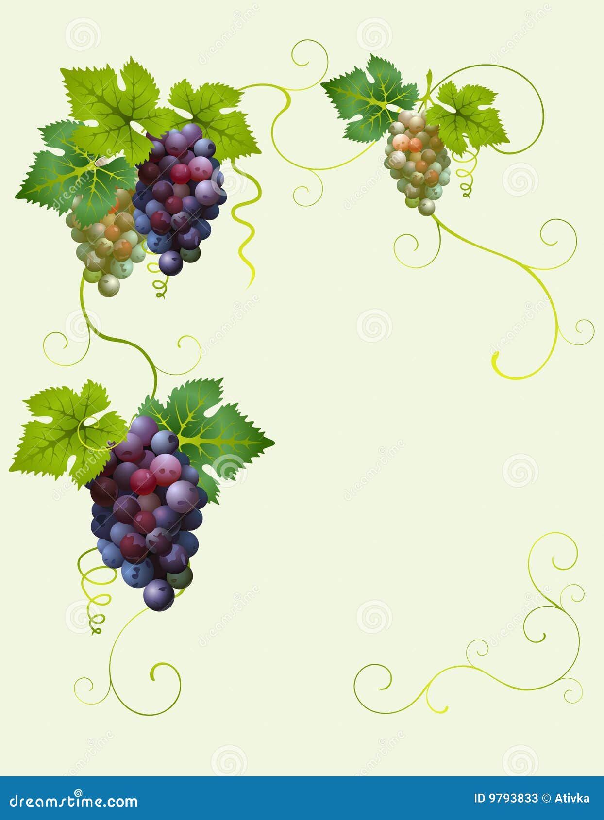 Grape frame stock vector. Illustration of design, draw - 9793833