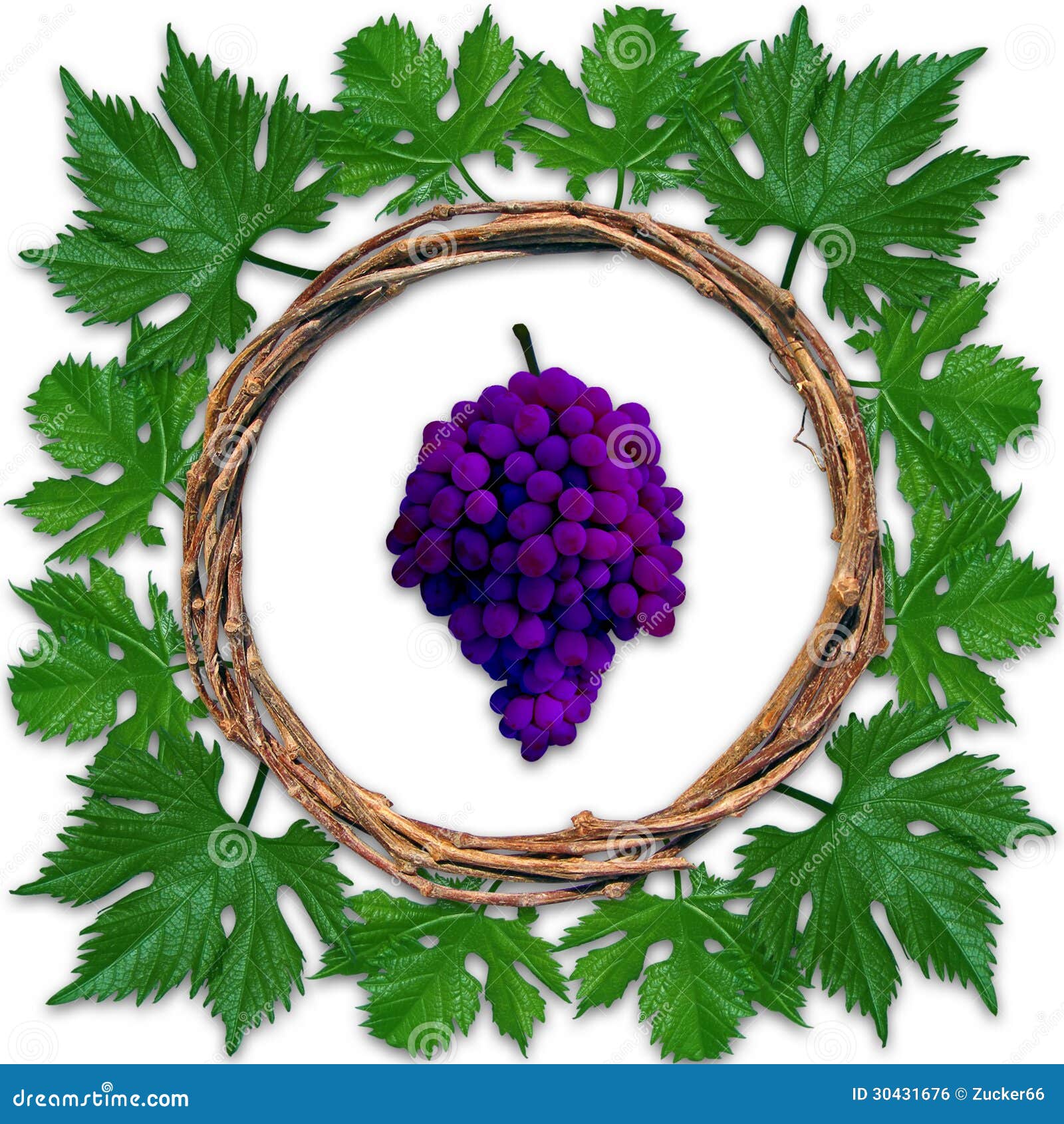Grape frame stock illustration. Illustration of isolation - 30431676