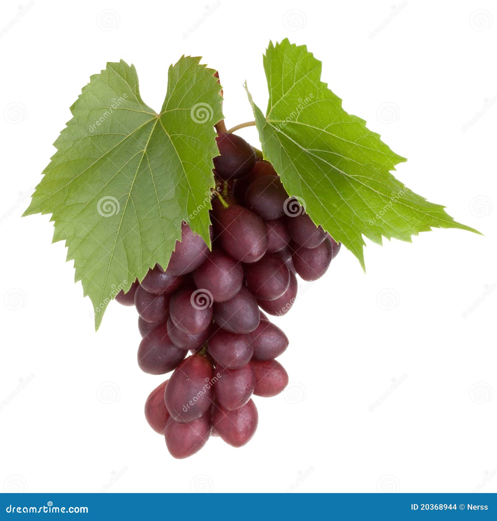 Grape fruit stock photo. Image of color, brown, health - 20368944