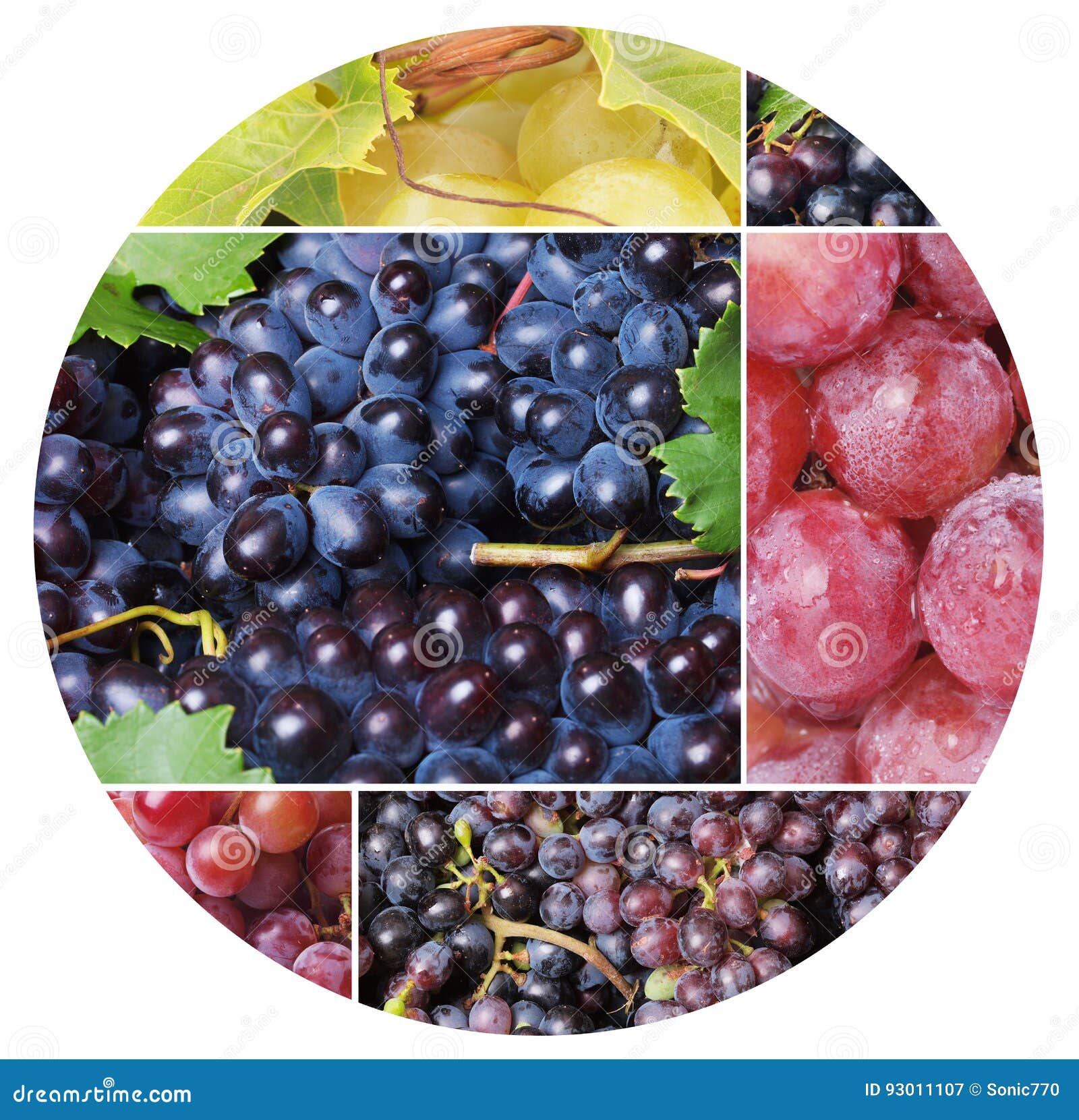 Grape fruit stock image. Image of fruit, viticulture - 93011107